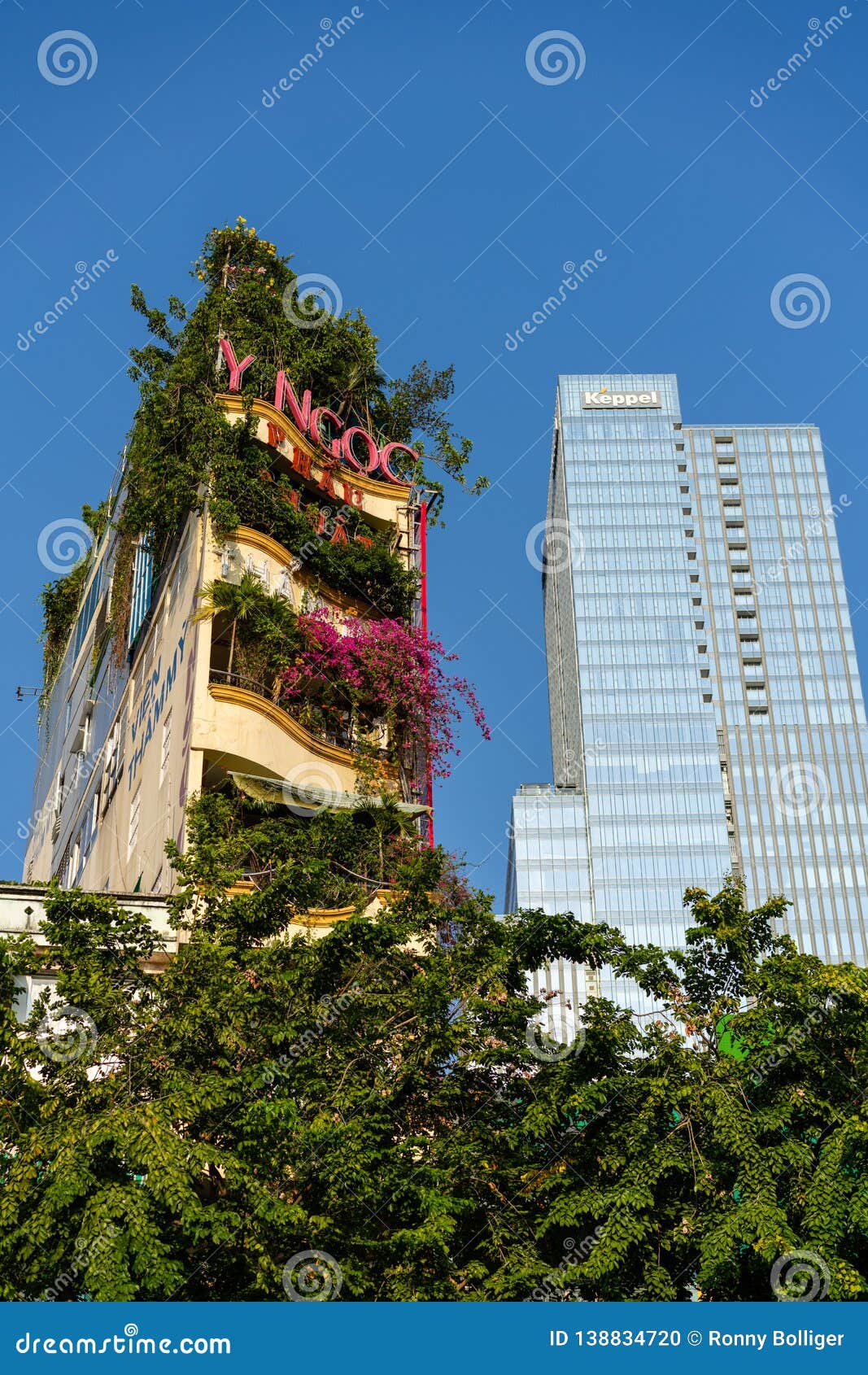 Hotel Wall and Windows Covered in Leafs. Editorial Image - Image of ...