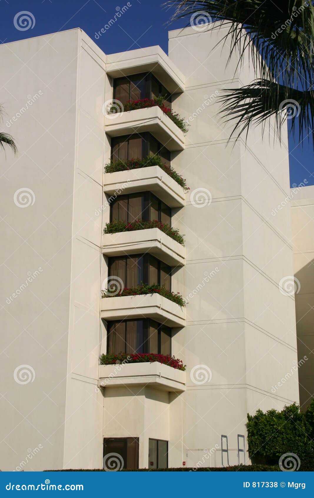 Hotel windows stock photo. Image of plant, building, tree - 817338