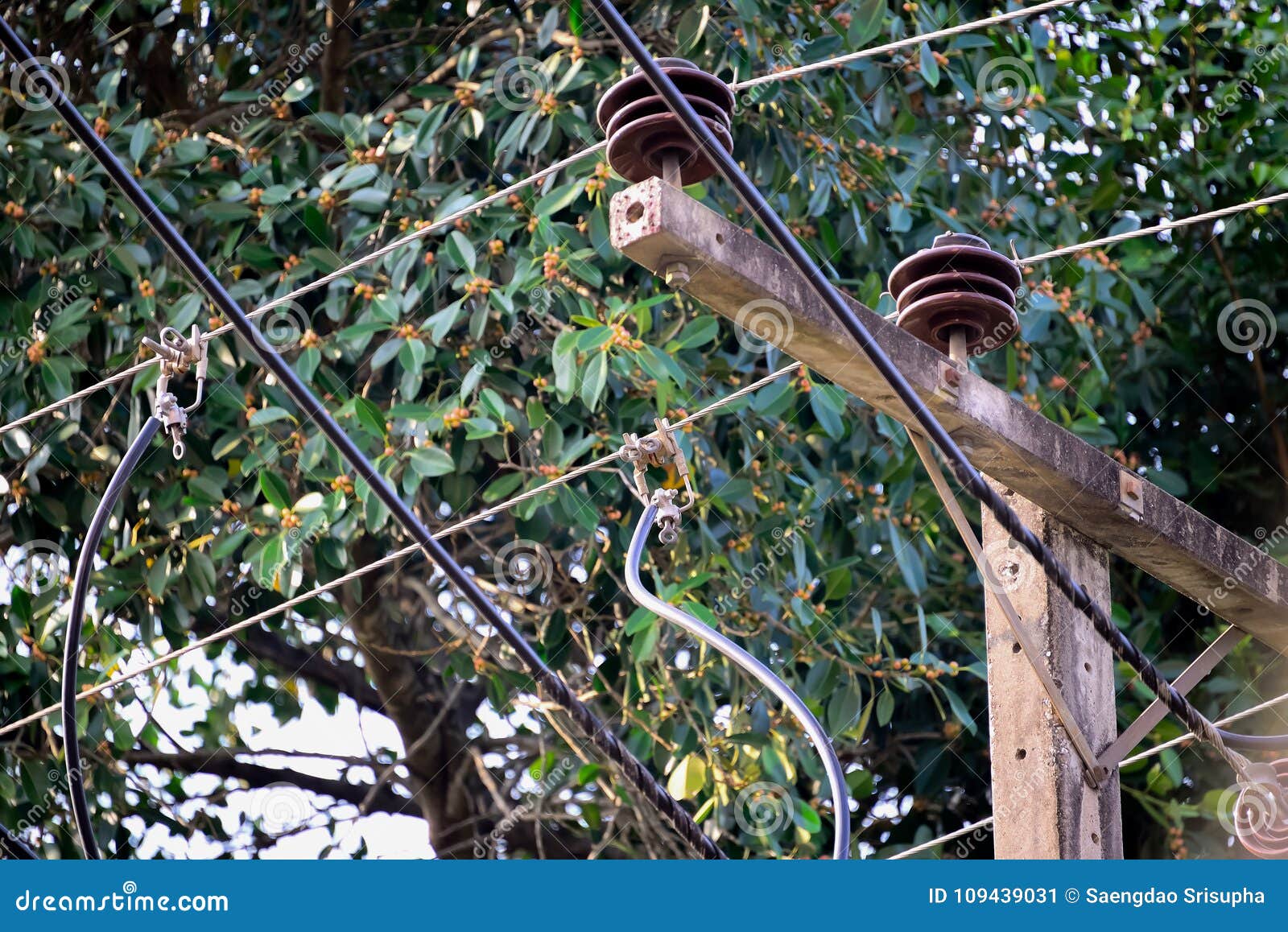 Hotline Clamp stock image. Image of semi, line, electricity - 109439031