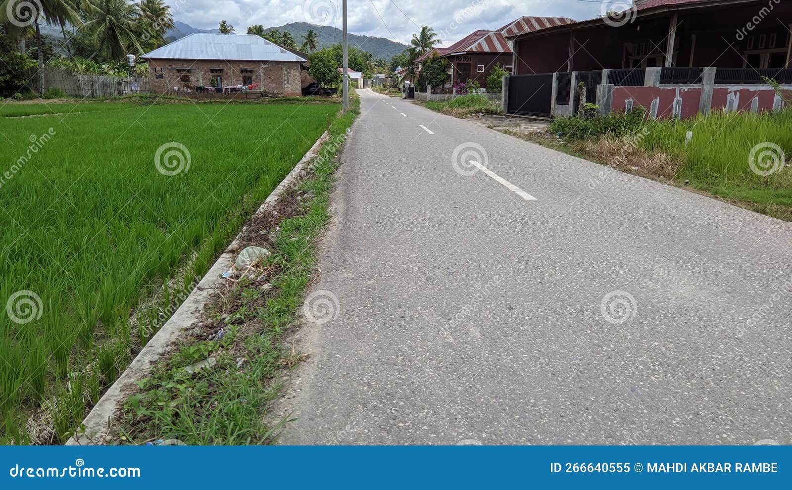 Hotmix Asphalt Village Road in the Village Stock Image - Image of ...