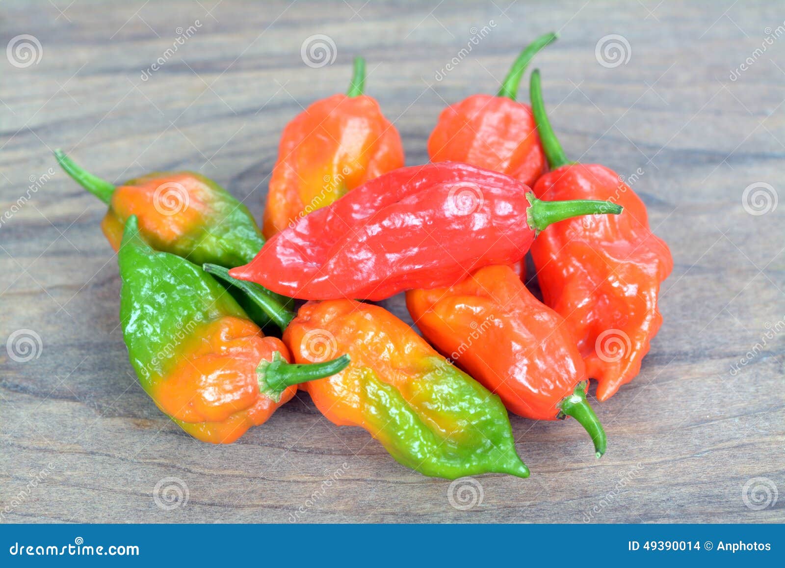 Hottest pepper stock photo. Image of tropical, vegetable - 49390014