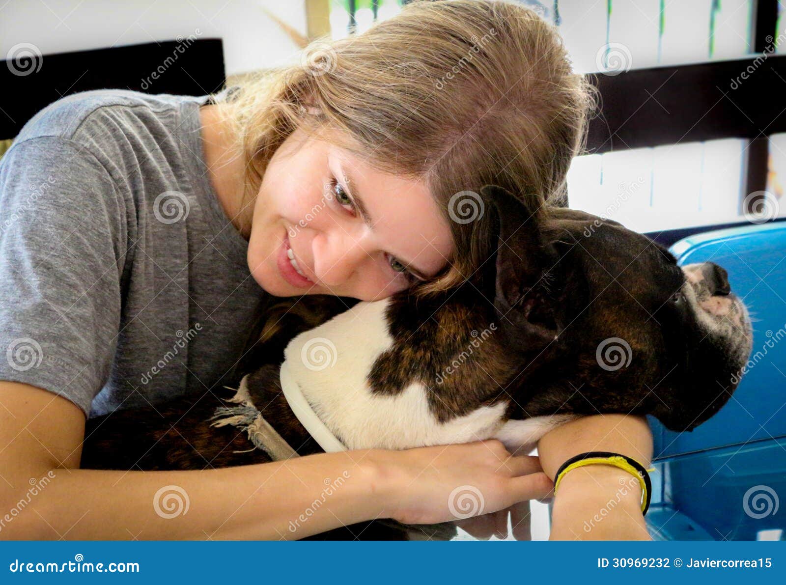 Houd van mijn Hond stock foto. Image of affecties, hond - 30969232