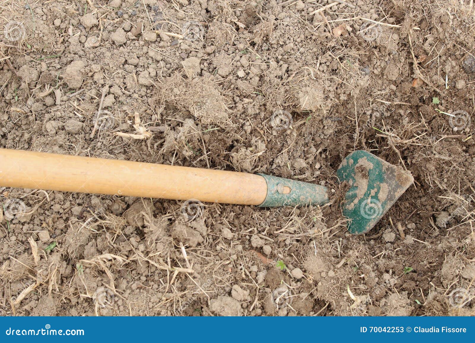 Houe Photos Stock - Téléchargez 9,190 Photos libres de droits