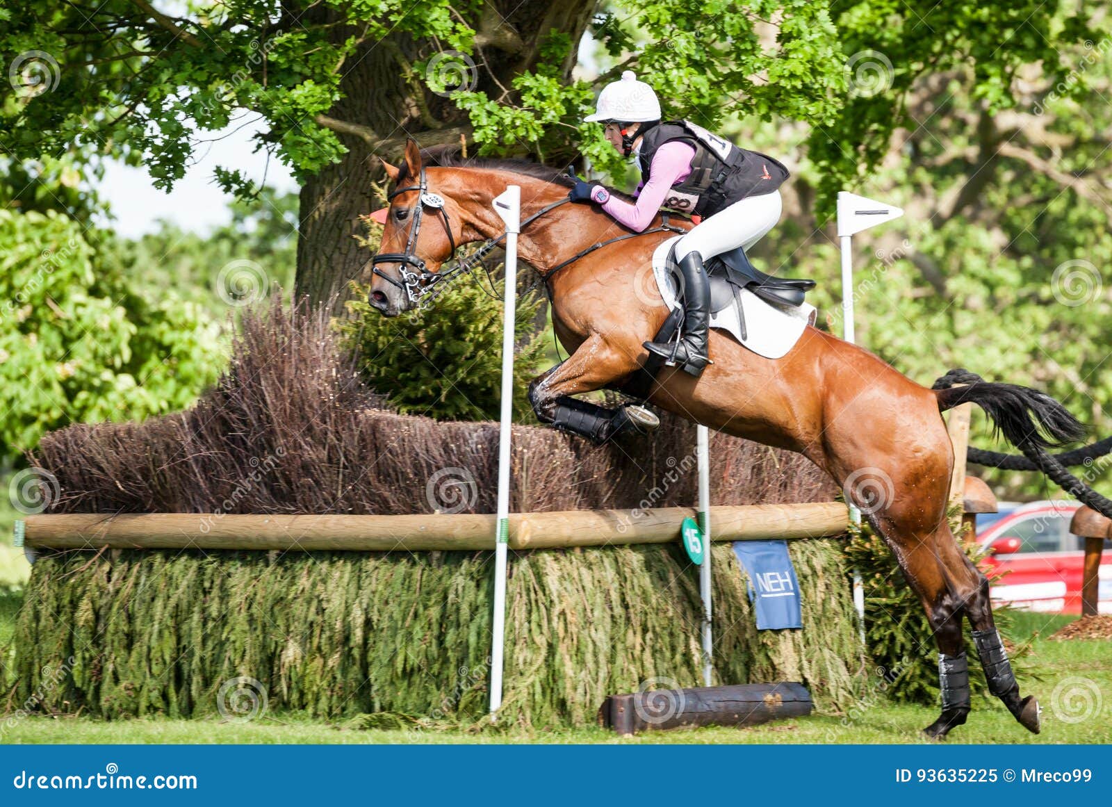 Houghton International Horse Trials Becky Woolven Riding Dhi Babette K ... Houghton International Horse Trials Becky Woolven Riding Dhi Babette K ...