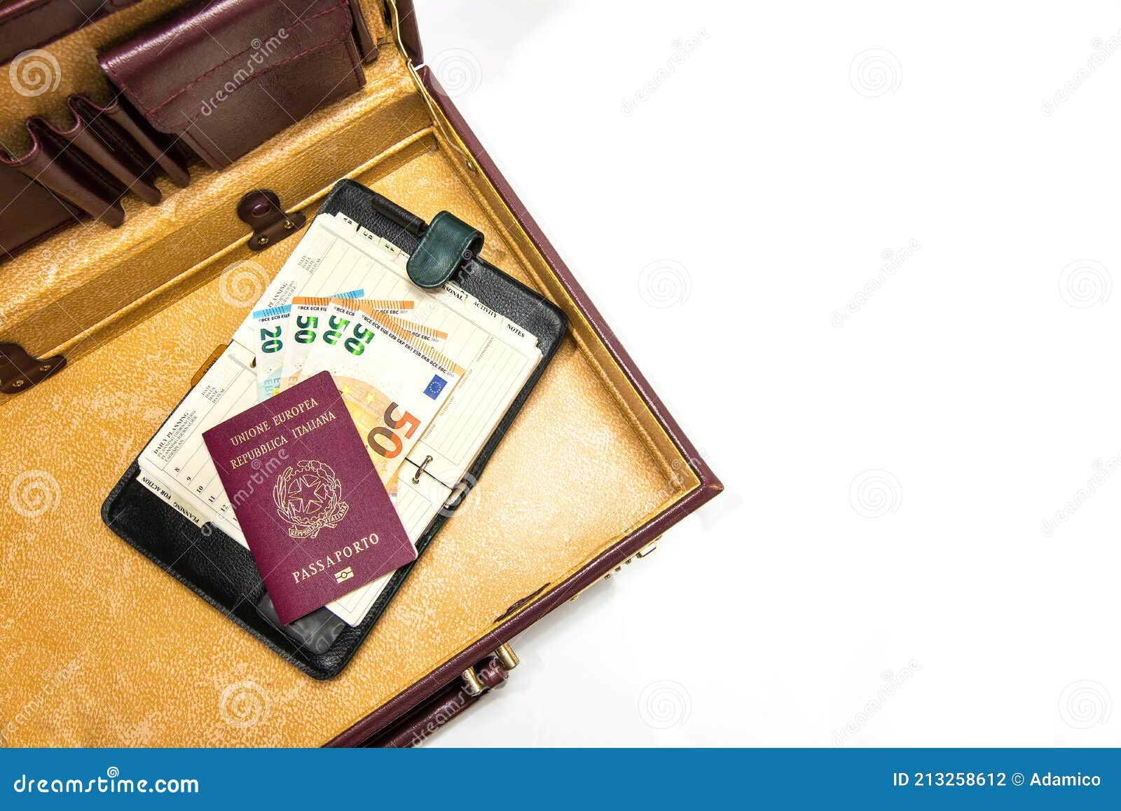 24 Hour Suitcase with Passport, Banknotes, Organizer and Copyspace ...