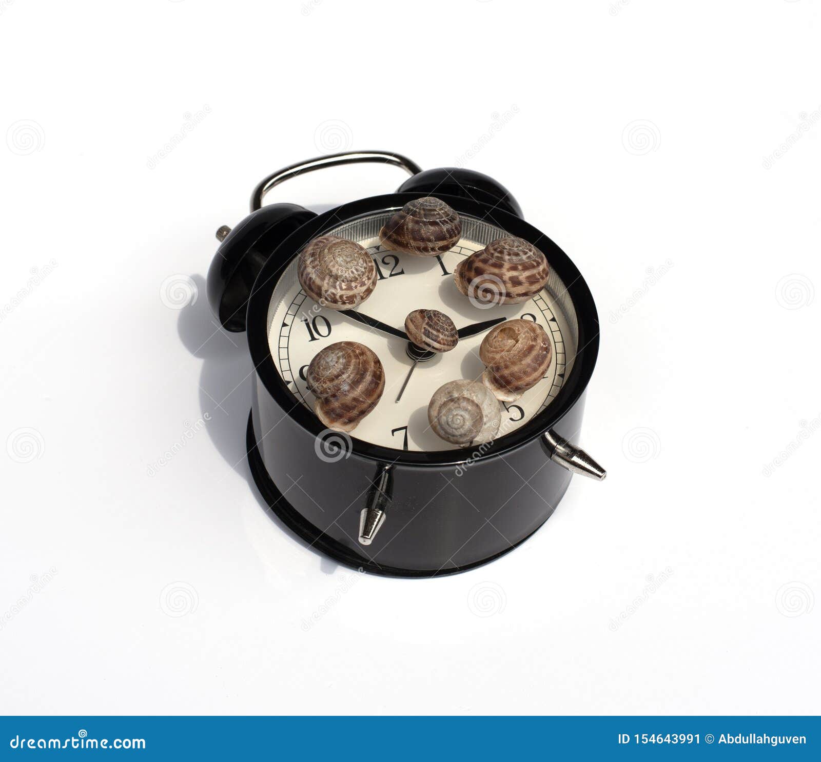 Group of Snails Together with Clock Stock Image - Image of animal ...