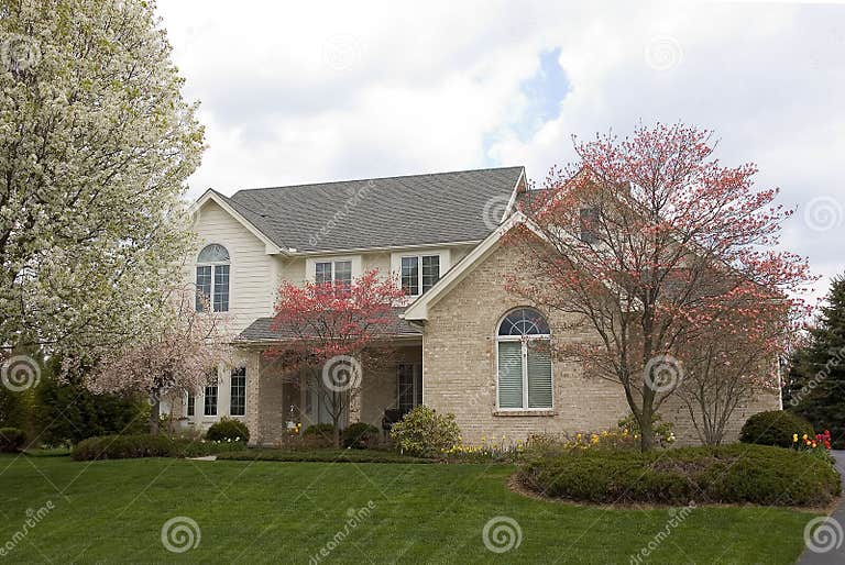 House 12 stock image. Image of building, grass, flower - 116649