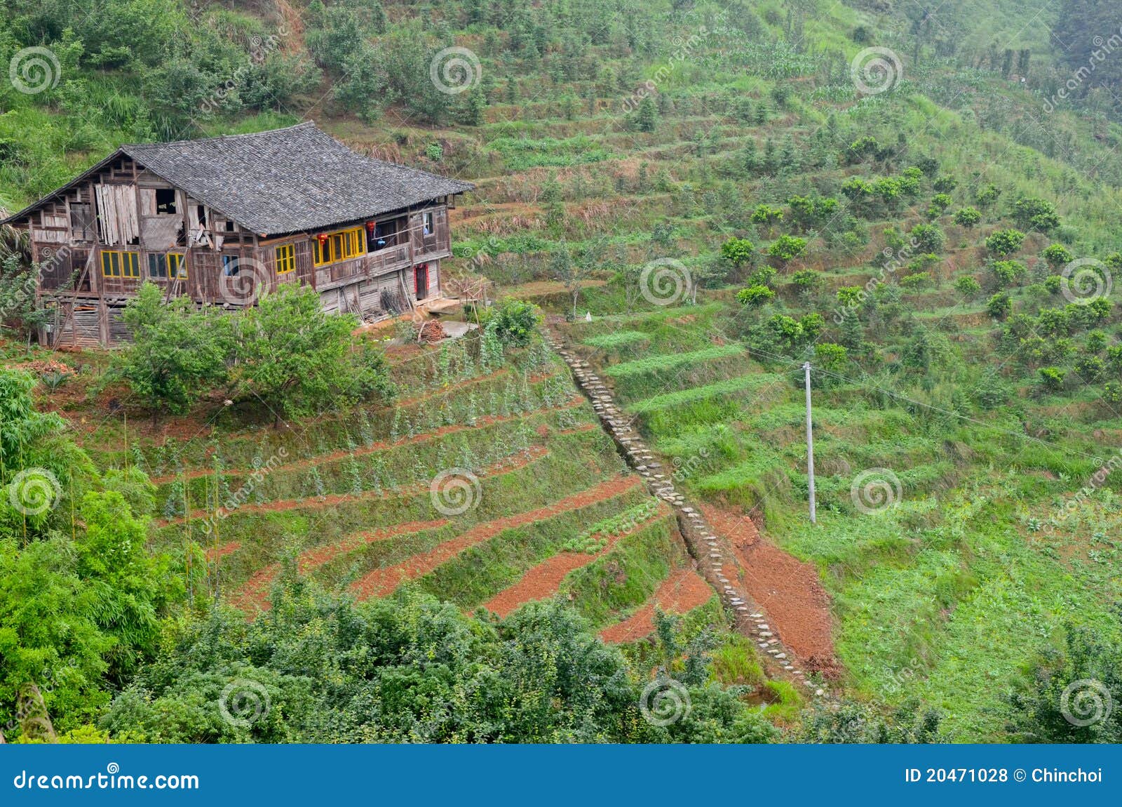 House at a Agriculture Hill Slope Stock Photo - Image of farm, color ...