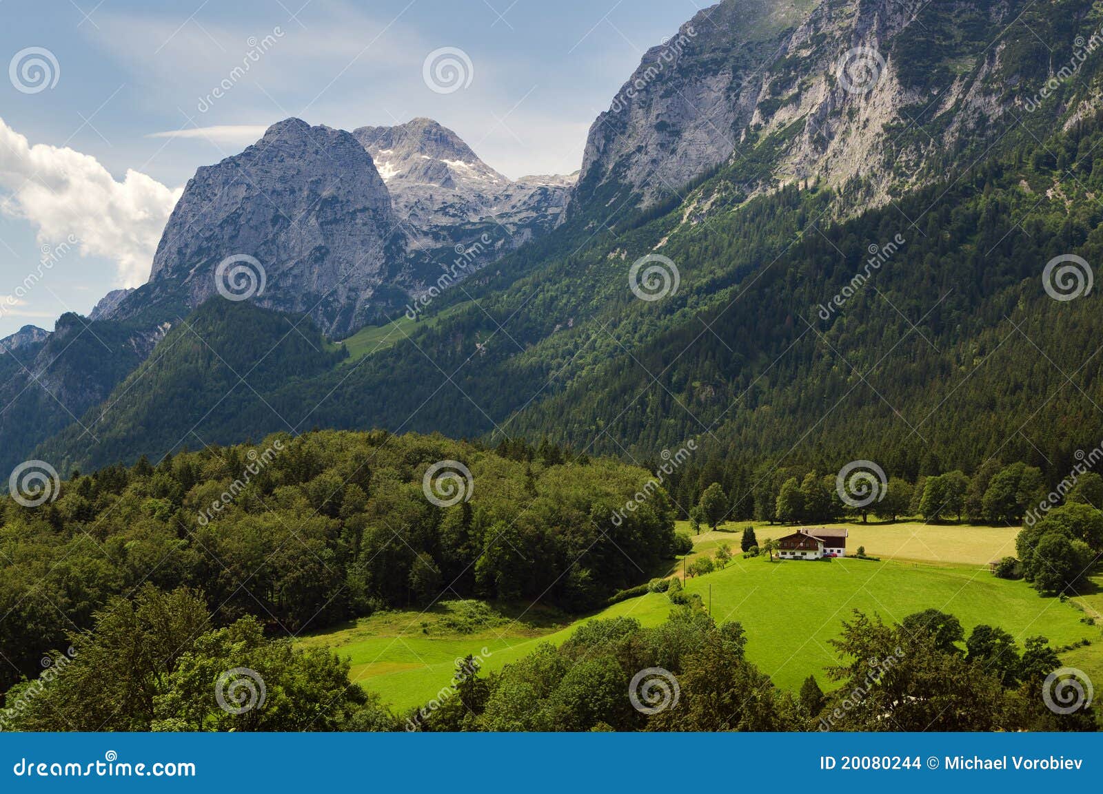 House in Alps stock photo. Image of summer, field, nature - 20080244