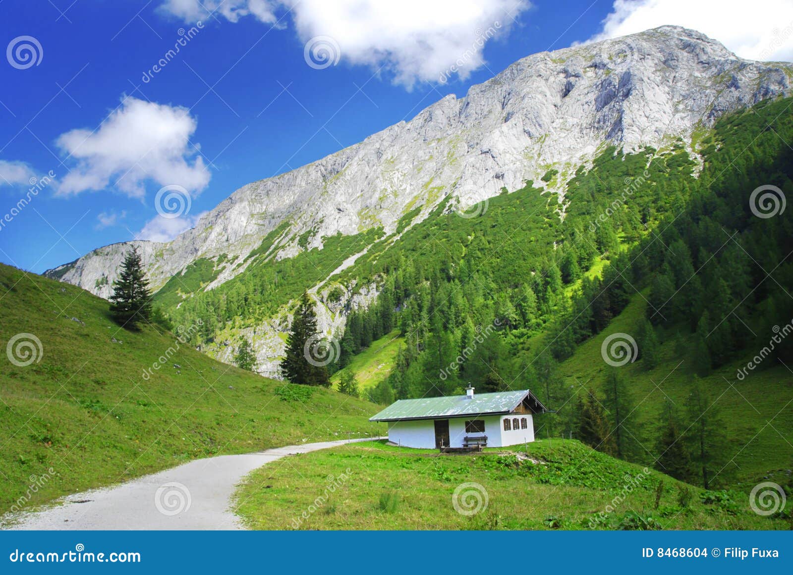 House in the Alps stock photo. Image of tyrol, country - 8468604