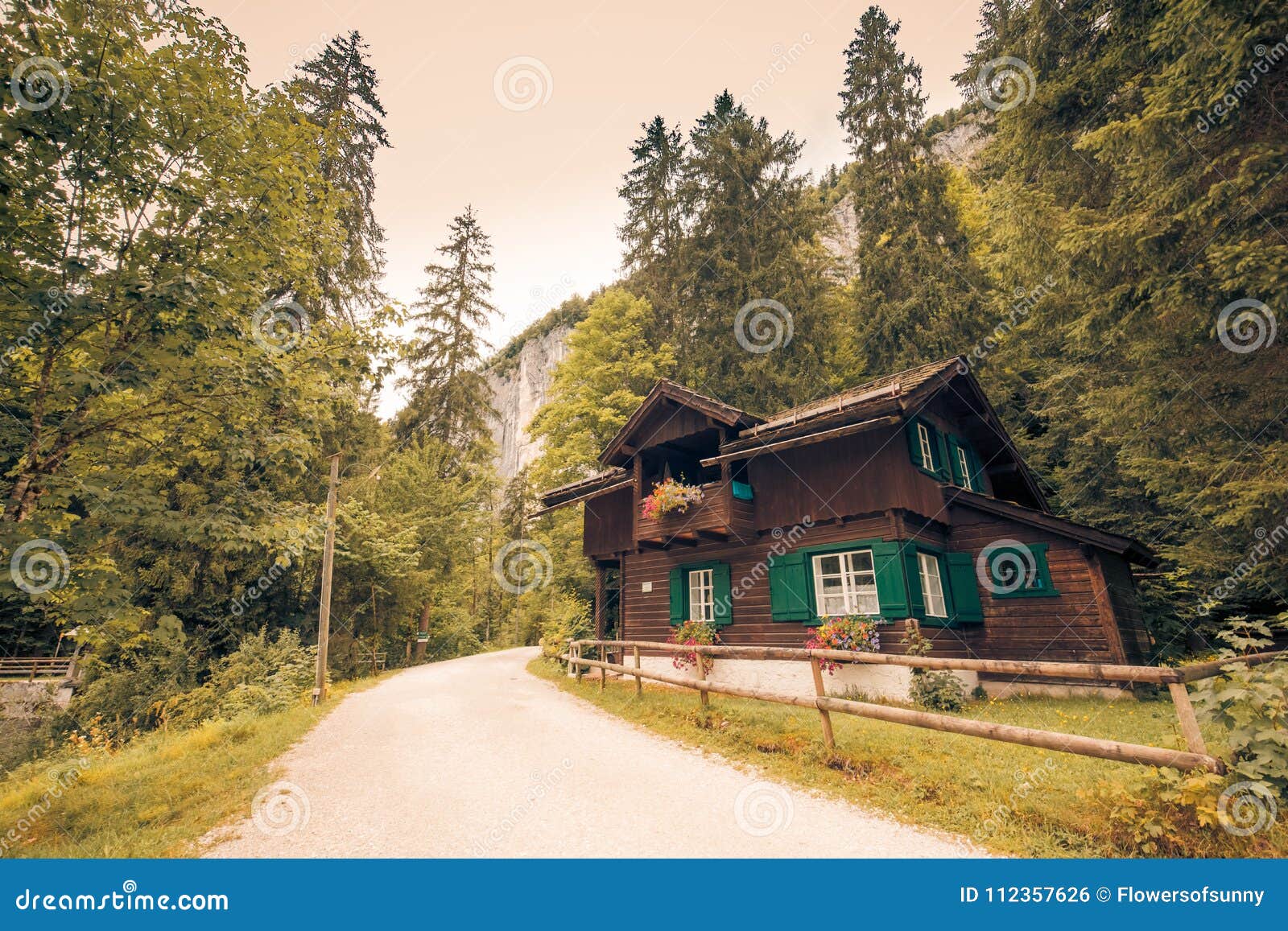 Alpine House and Mountain Forest Stock Photo - Image of sale, house ...
