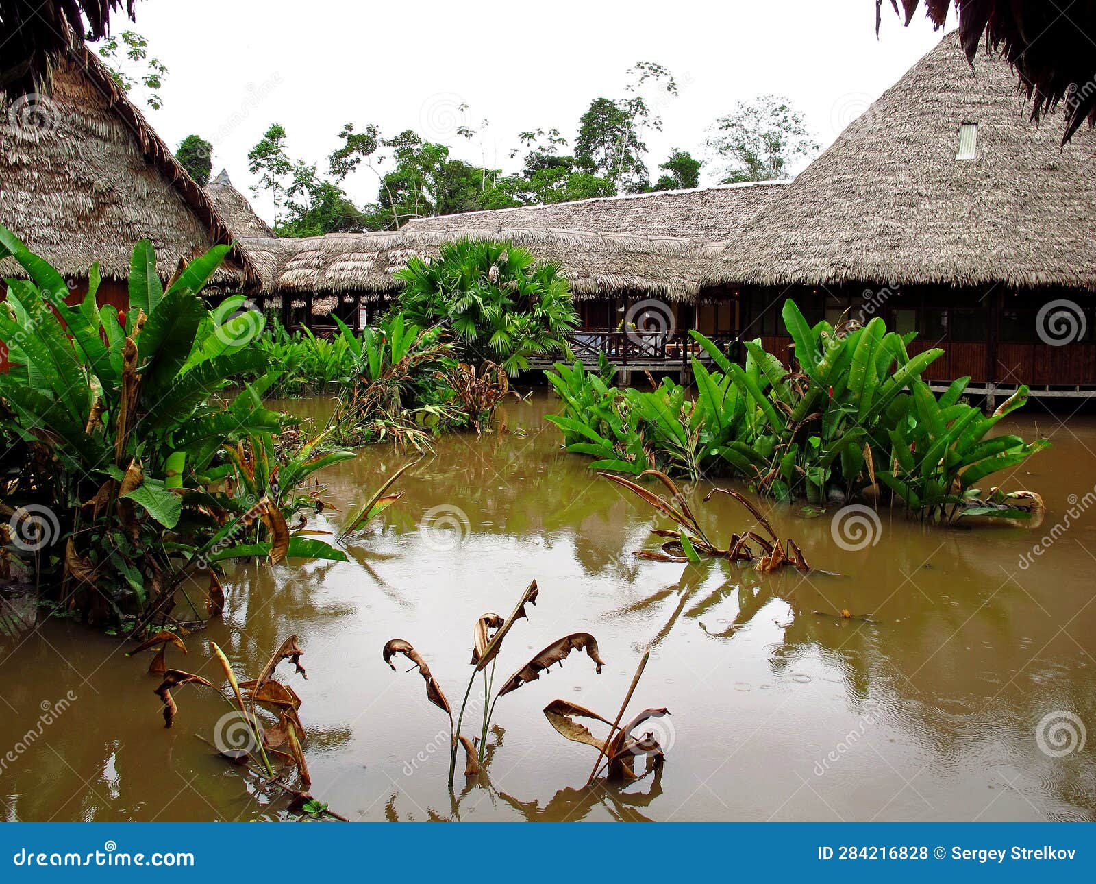 The House in Amazon River in Peru, South America Stock Photo - Image of ...