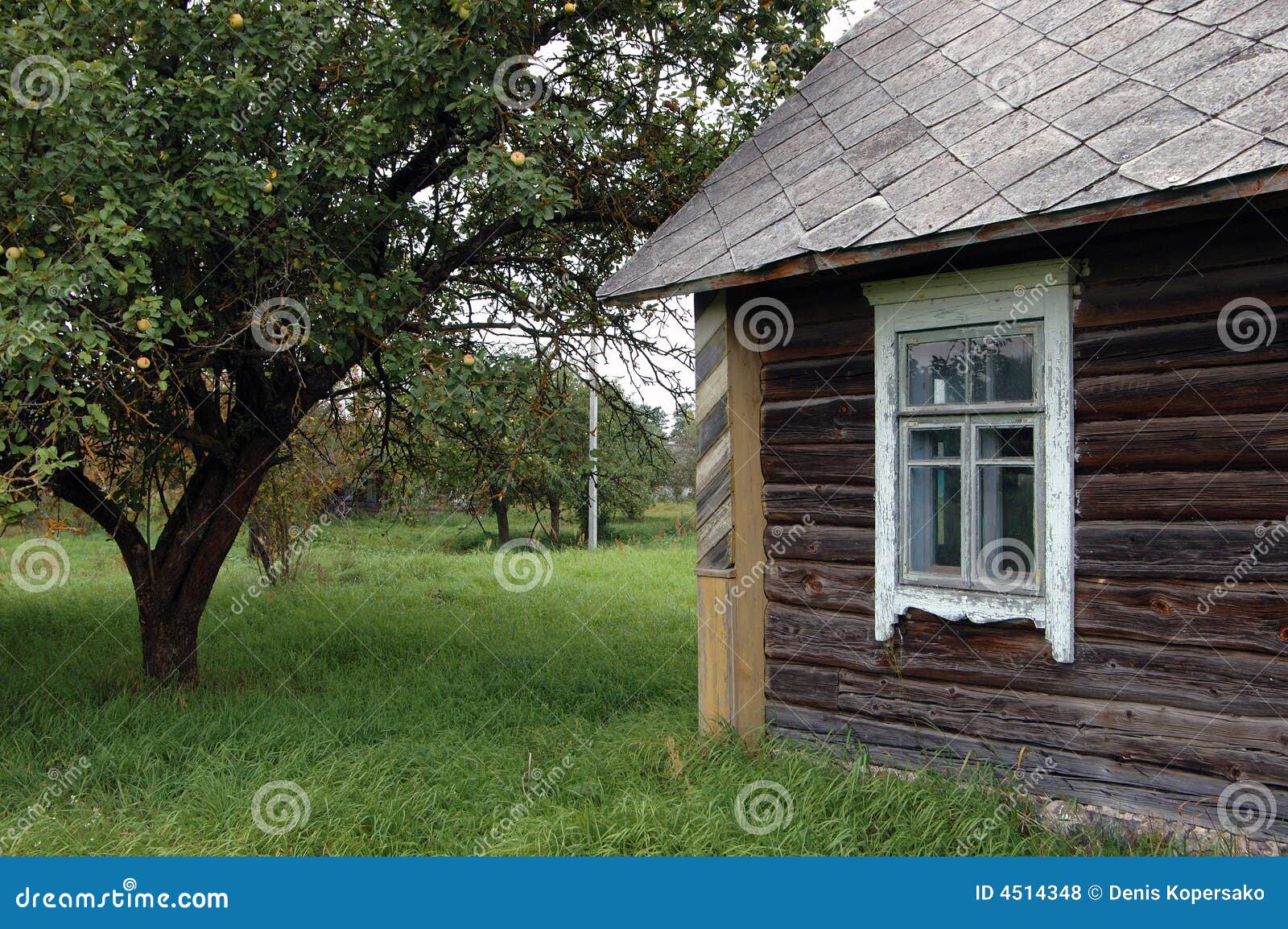 House and apple tree stock photo. Image of relaxation - 4514348