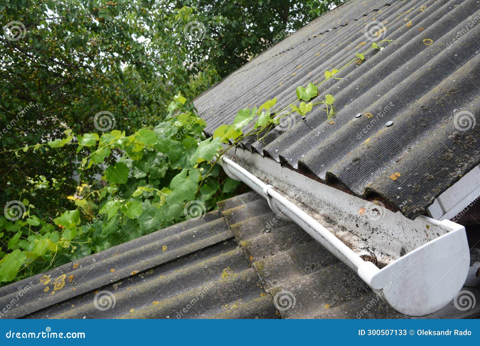 House Asbestos Roof after the Rain with White Plastic Rain Gutter ...