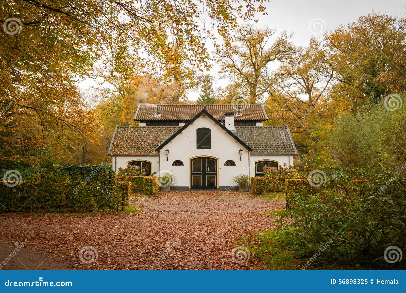 House in Autumn Colored Forest Stock Image - Image of outside, seasonal ...