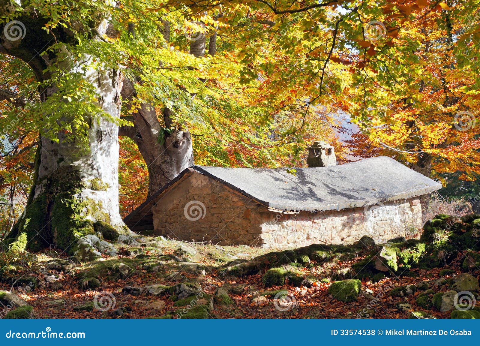 House in autumn forest stock photo. Image of cabin, hovel - 33574538