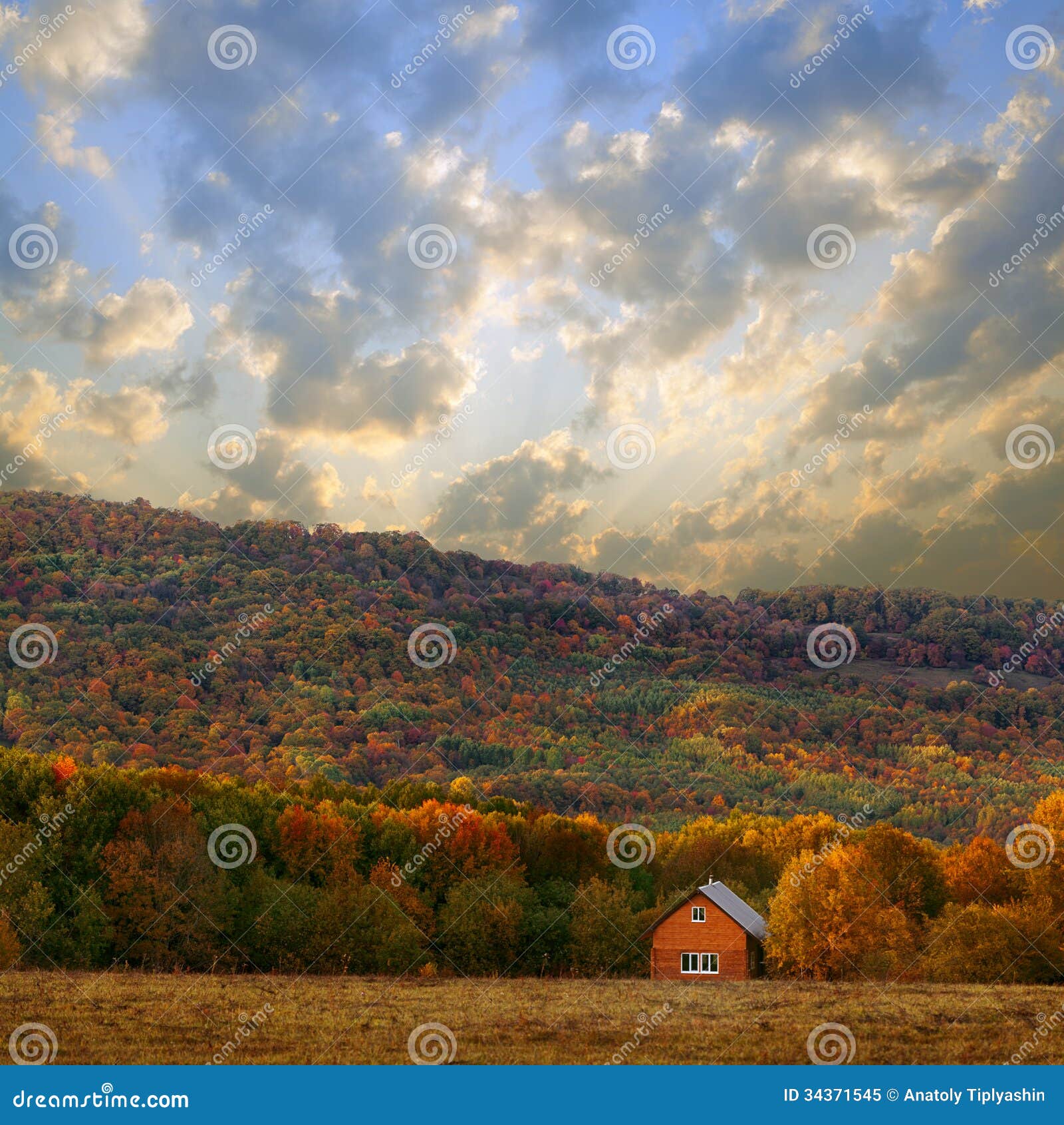 House in Autumn Forest in Mountain Stock Image - Image of november ...