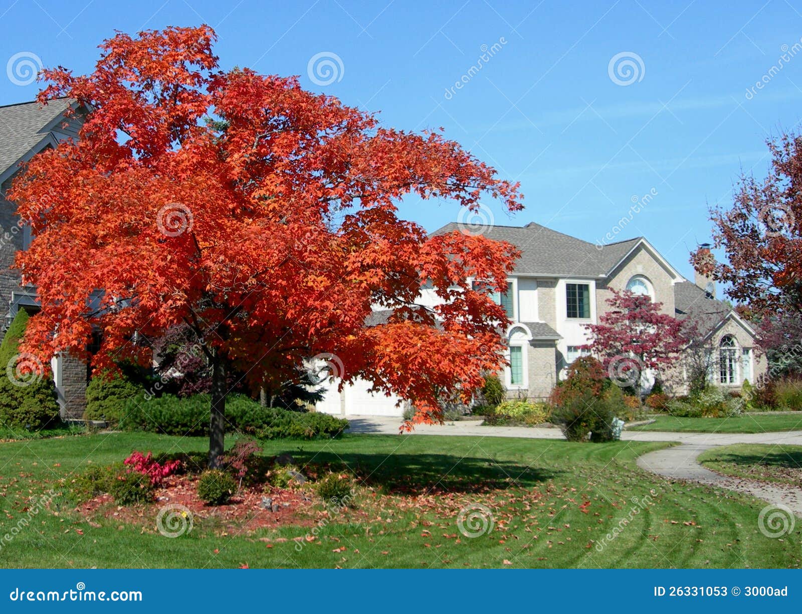 House and autumn landscape stock image. Image of garden - 26331053