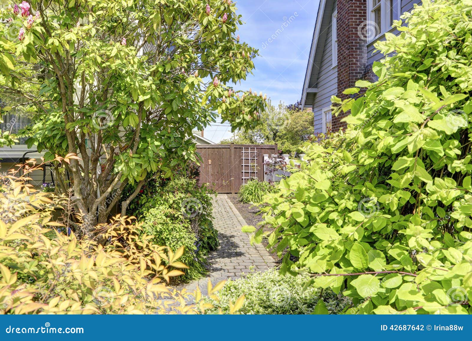 Top View Of Walkway In The Garden And Green Shrub Beside Pathway ...