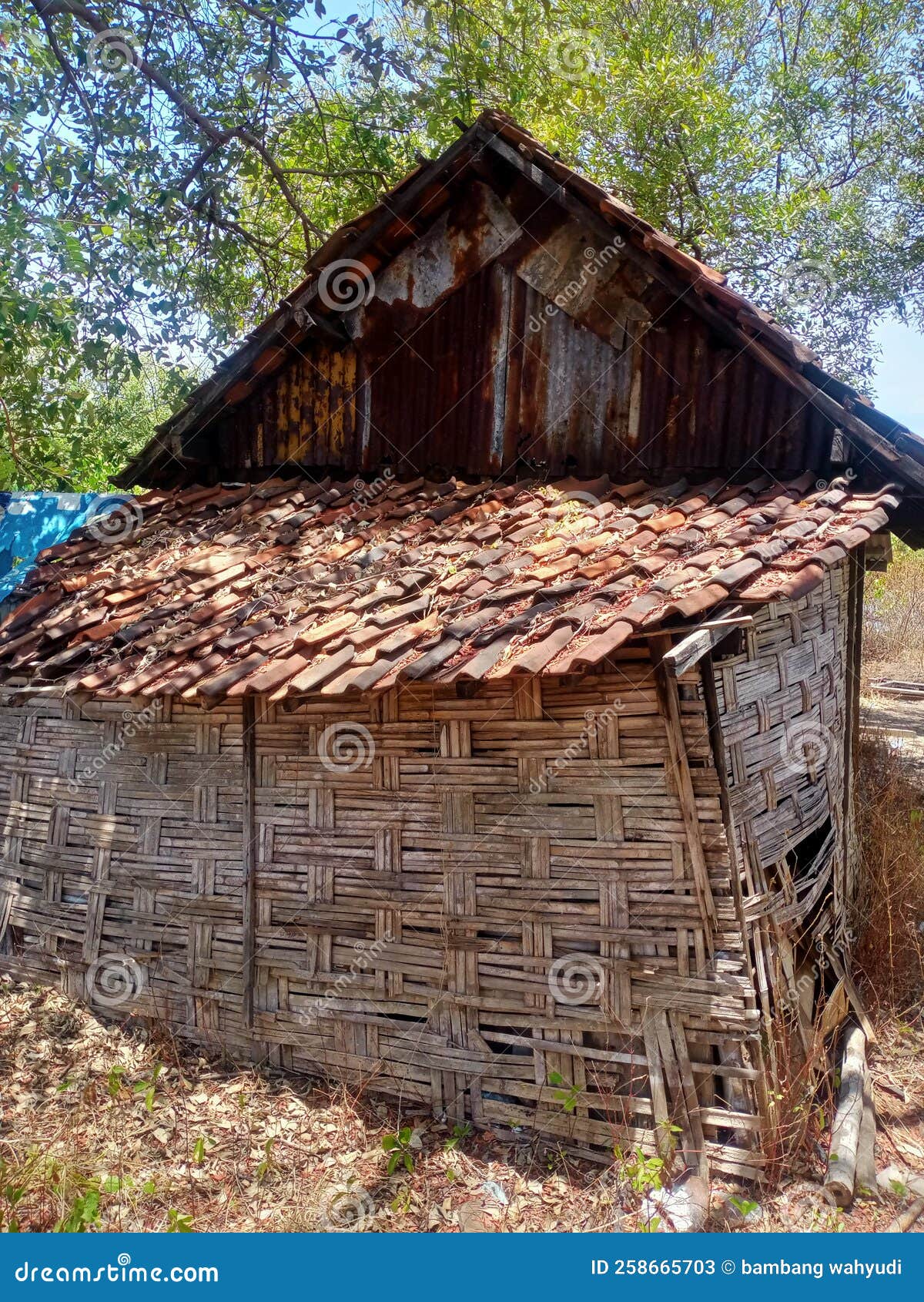 House from Bamboo Broken with Climate Change Stock Image - Image of ...