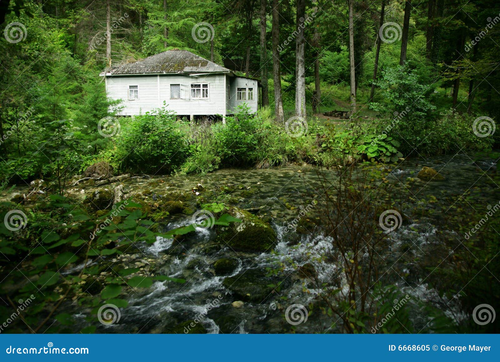 House on the Bank of the River Stock Image - Image of bank, dark: 6668605