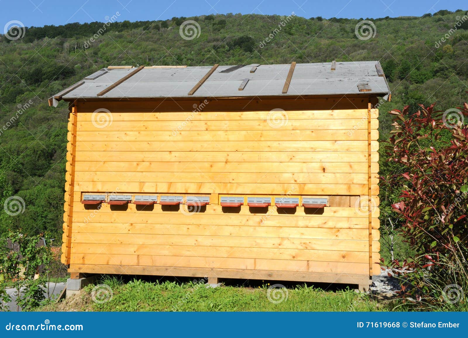 House for beekeeping stock photo. Image of melittology - 71619668