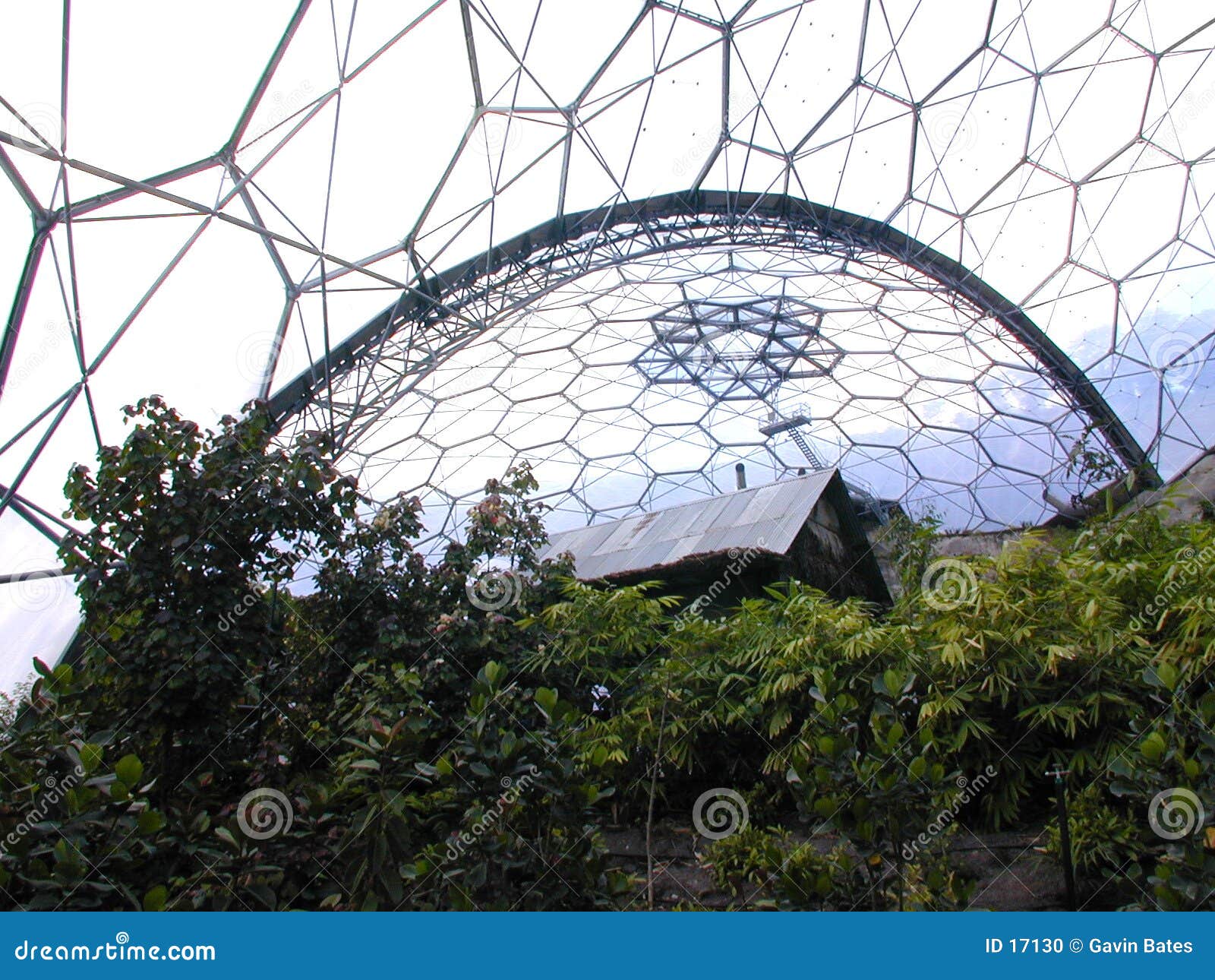 House in a Biome stock photo. Image of eden, biome, plants - 17130