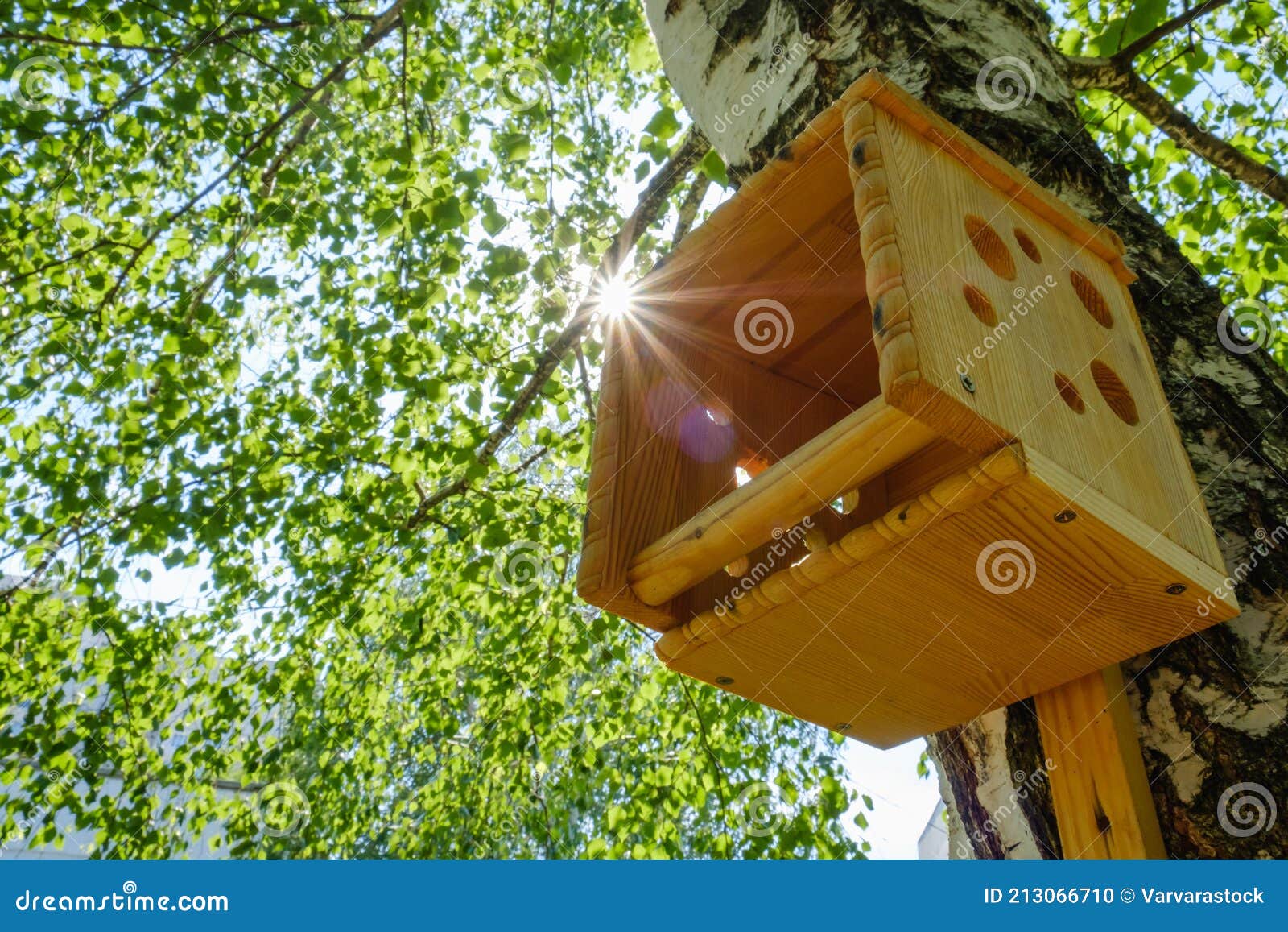 House Birdhouse Tree Forest Bird. Trunk Stock Photo - Image of natural ...