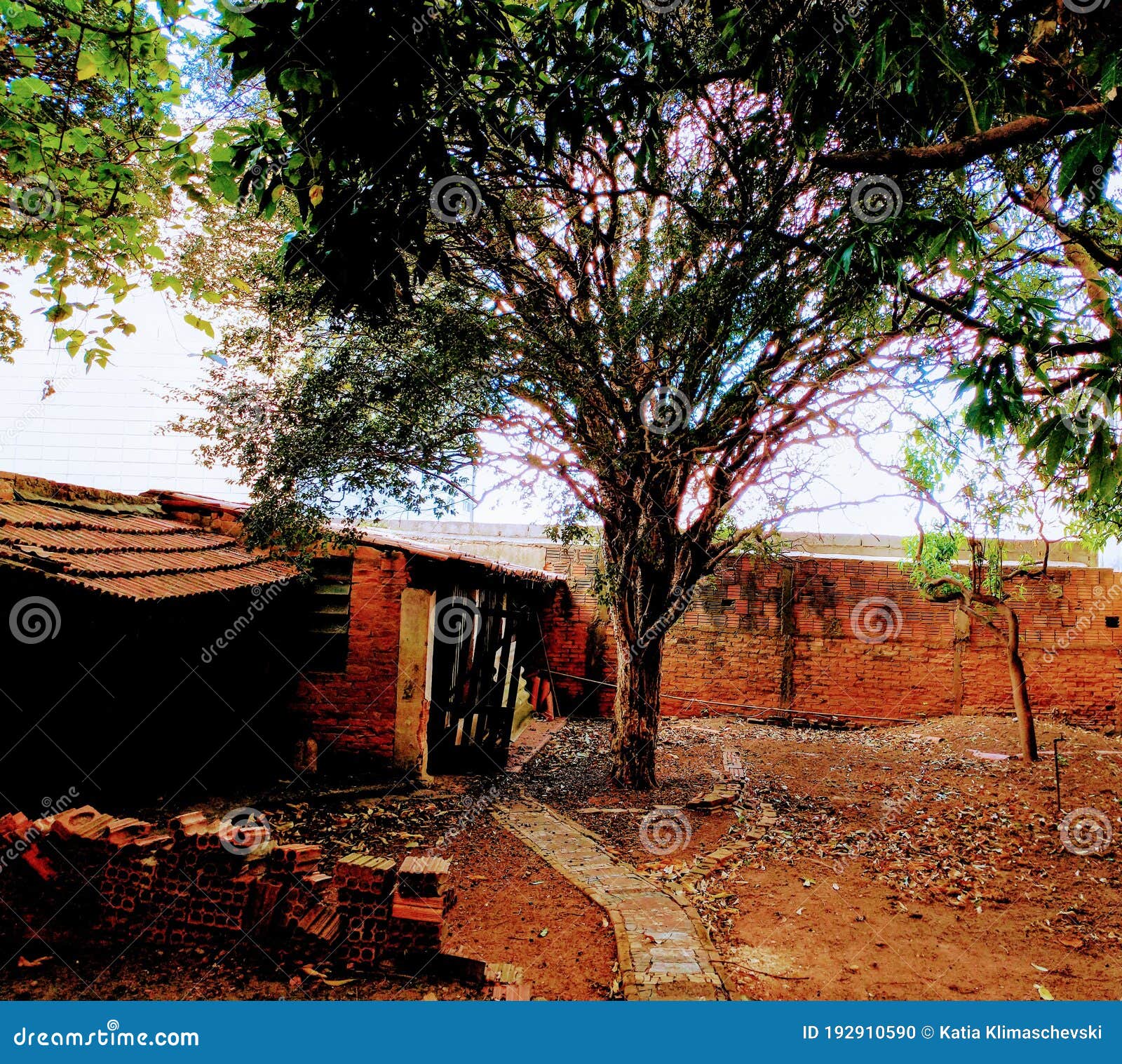 House cabana Tree earth stock photo. Image of home, wall - 192910590