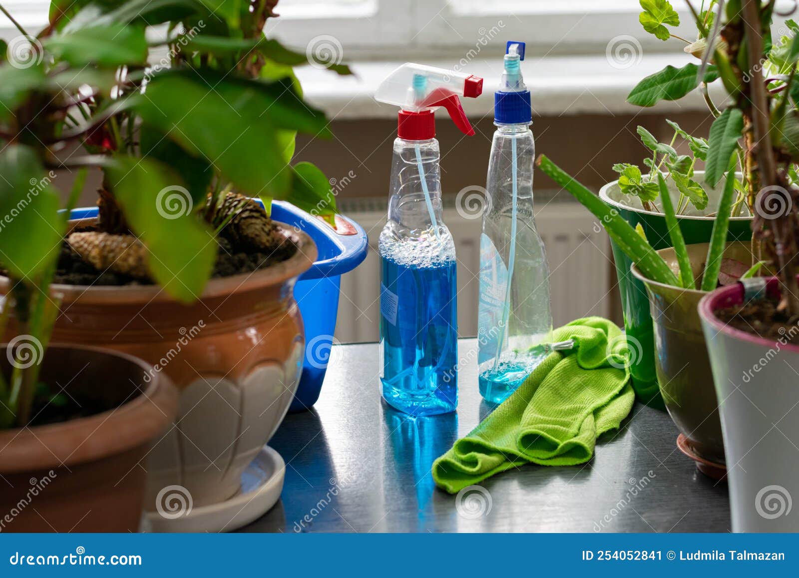 House Cleaning, Table with Flower Pots and Cleaning Products Stock ...