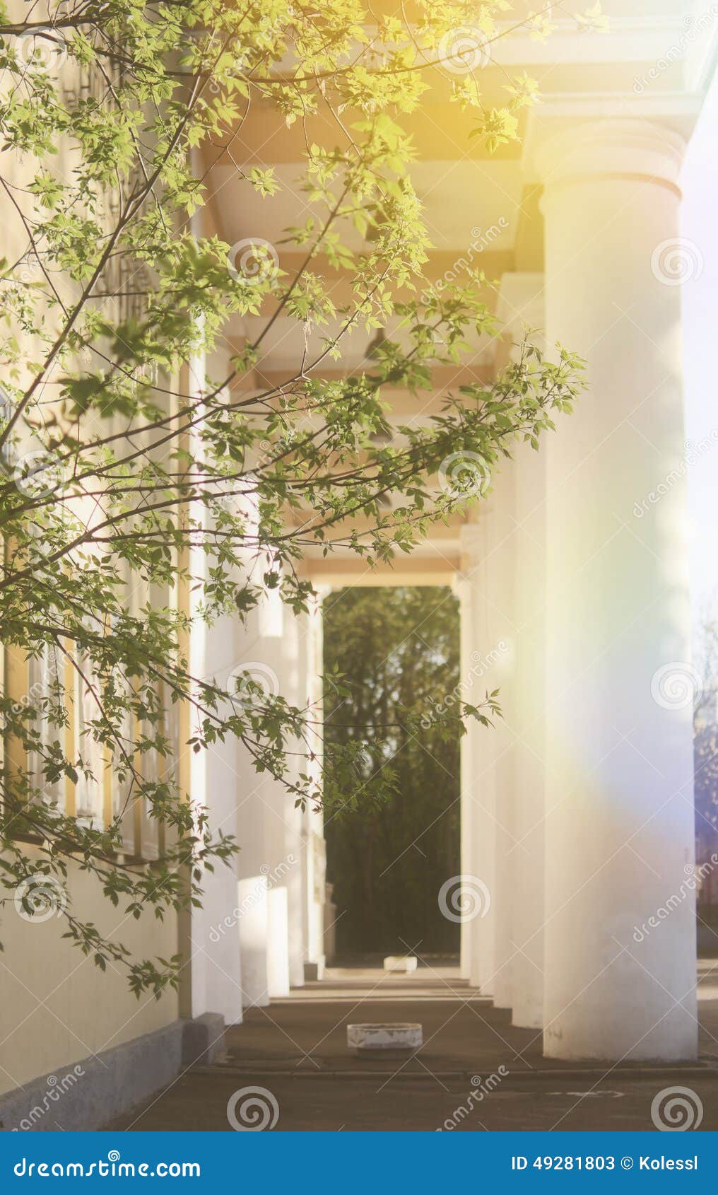 House with Columns Background Stock Image - Image of blooming, walkway ...