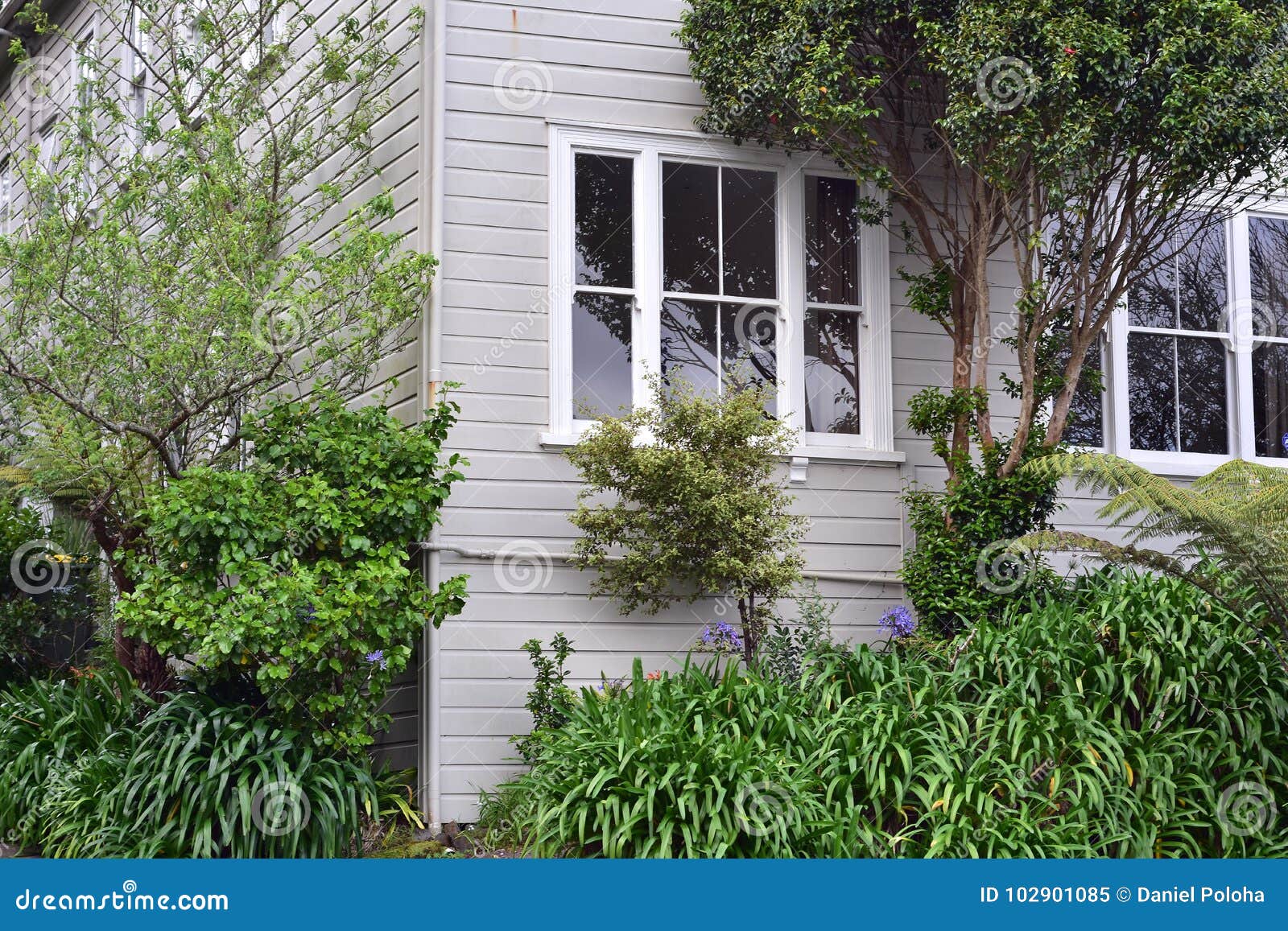 House corner with greenery stock image. Image of edge - 102901085