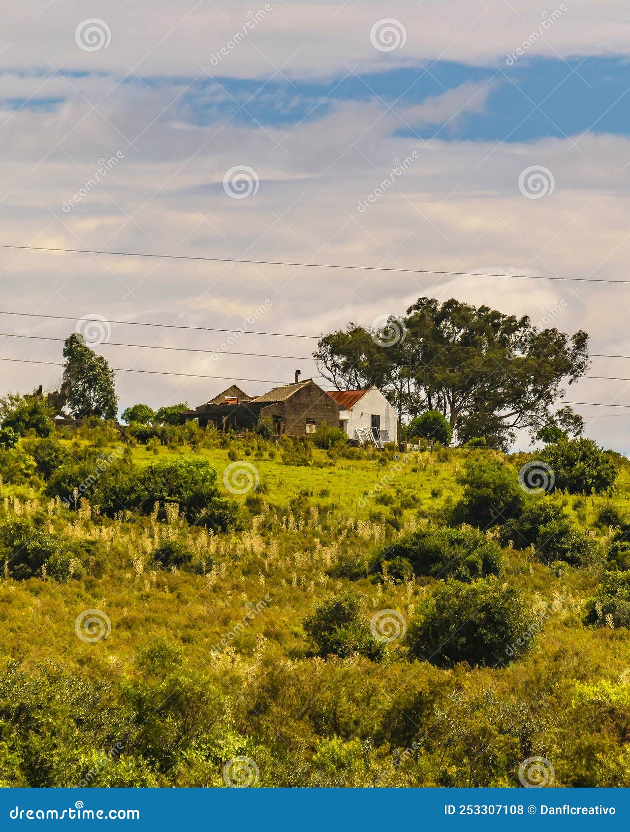 House a Countryside Landscape Stock Photo - Image of uruguay, bush ...