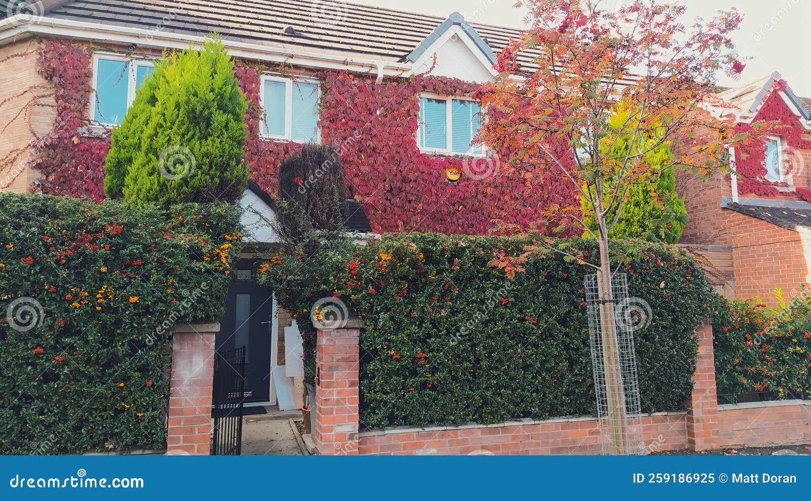 House Covered in Autumn Leaves Stock Image - Image of covere, leaves ...