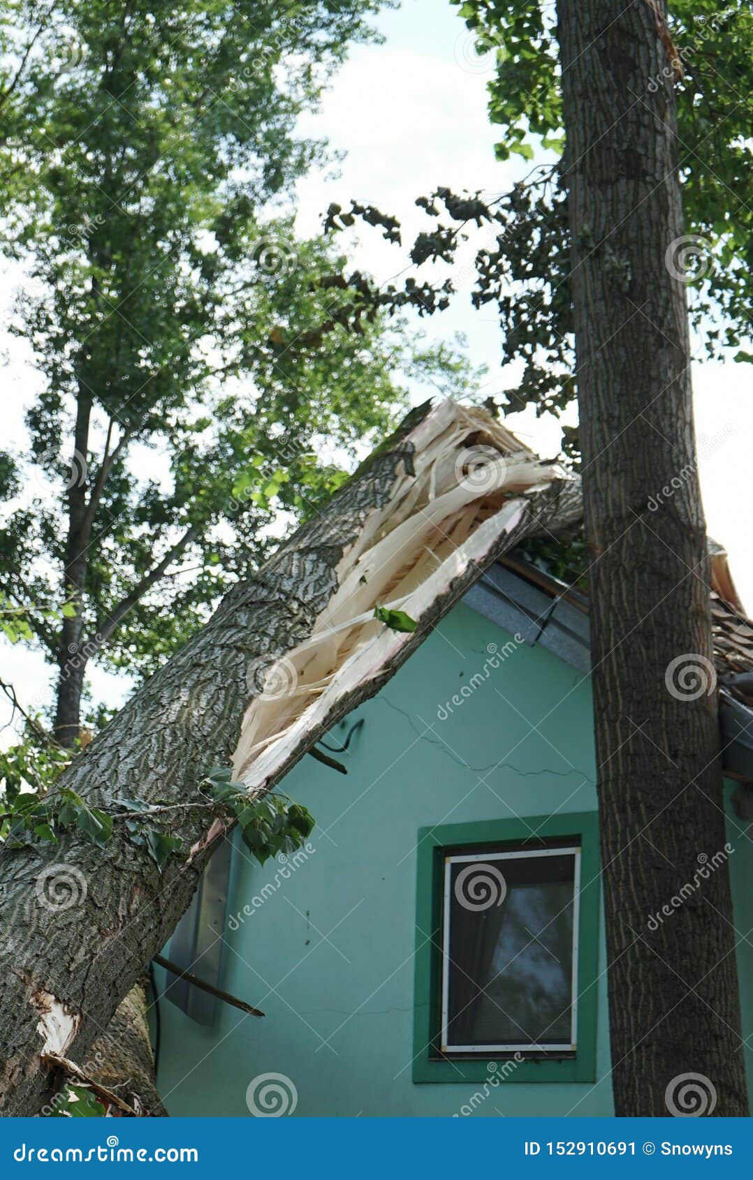 A House Damaged by Hurricane with Fallen Tree on the House Stock Image ...