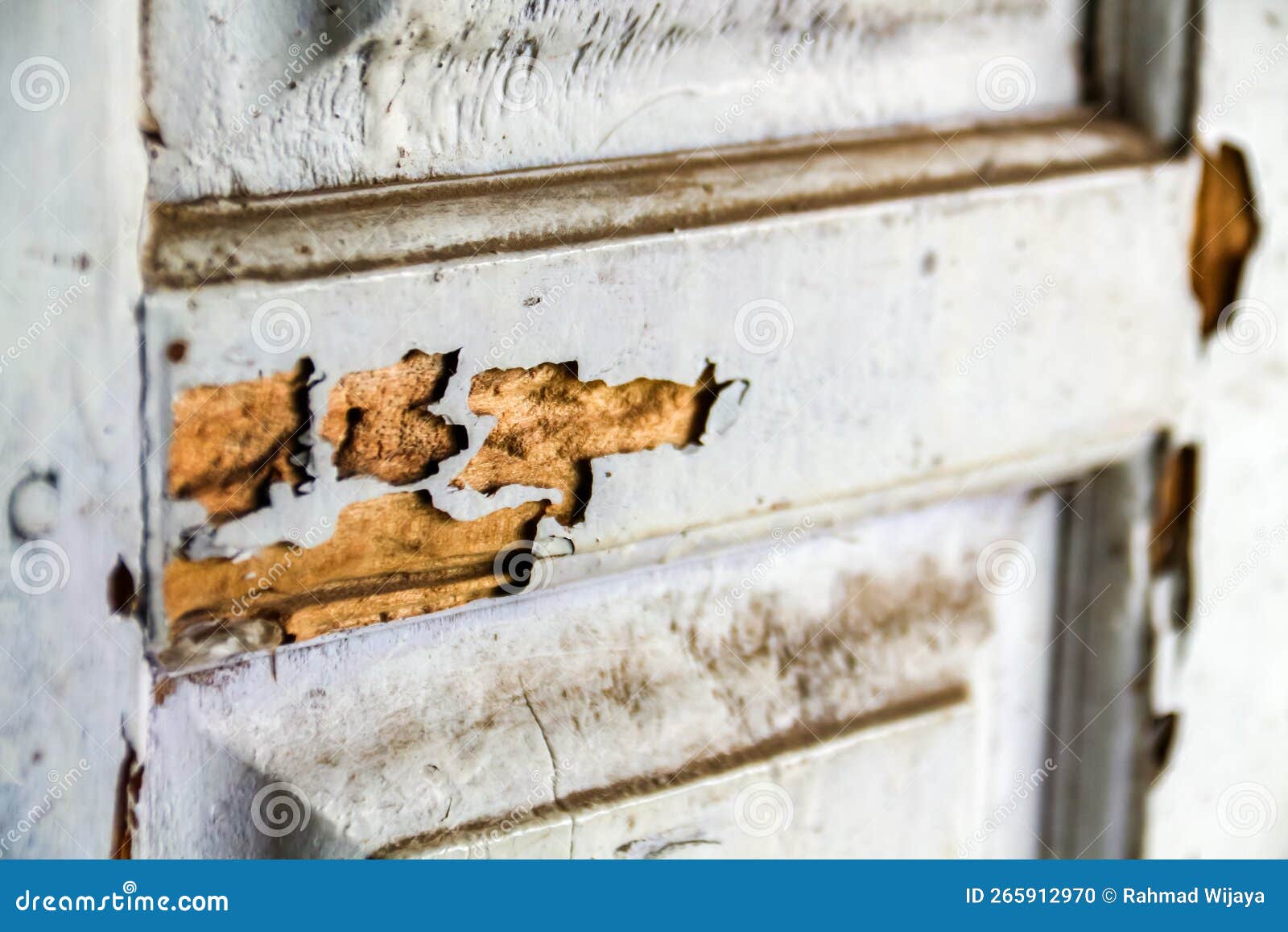 House Doors Made of Wood Infested by Termites Stock Photo - Image of ...