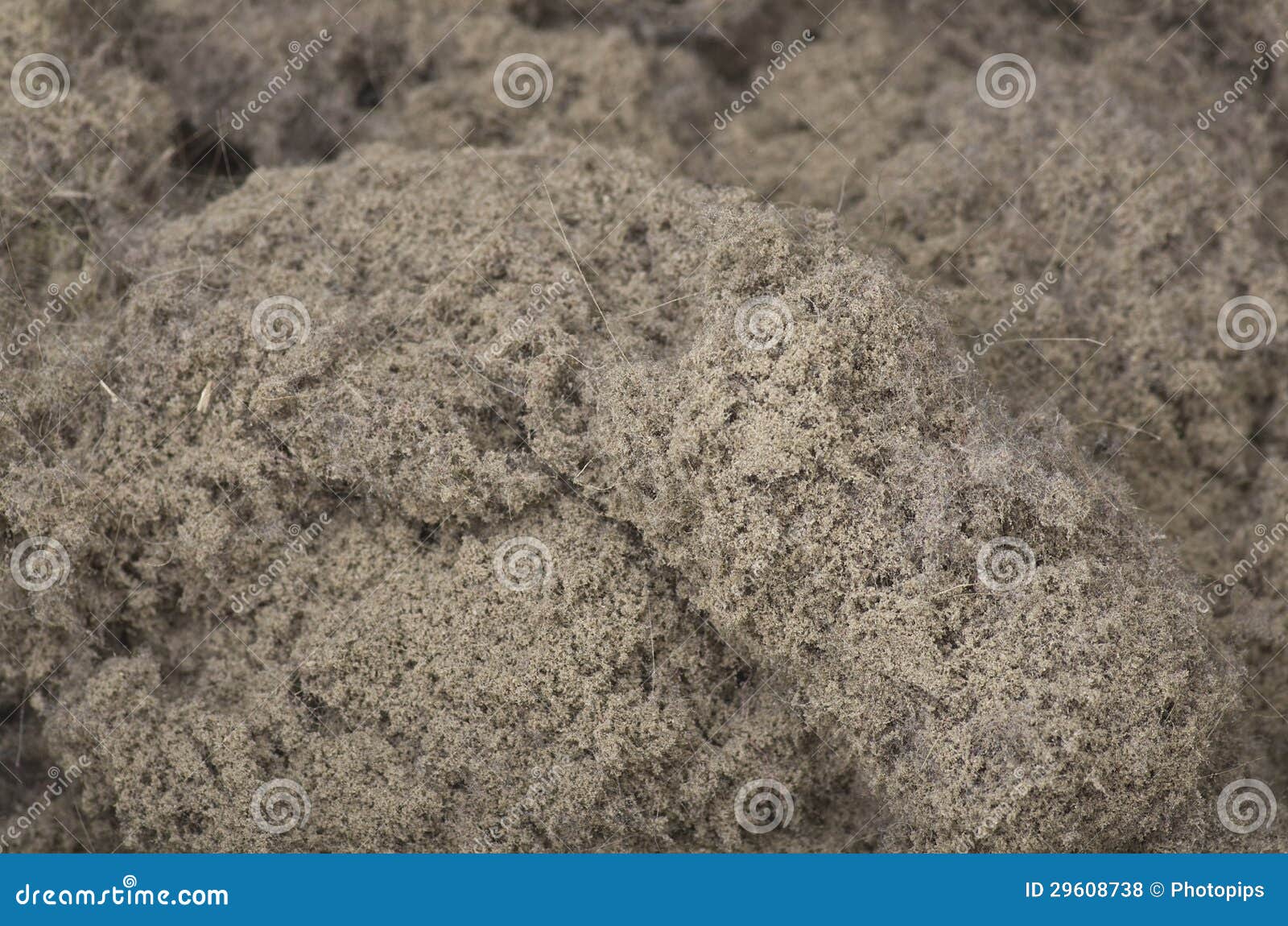 House dust stock photo. Image of cleaner, dust, healthy - 29608738
