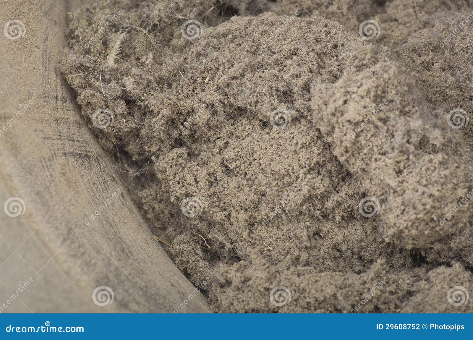 House dust stock photo. Image of curls, group, vacuum - 29608752