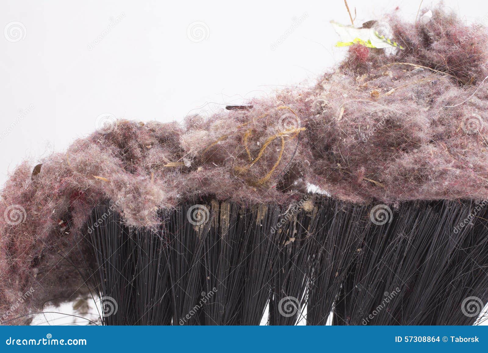 House dust stock photo. Image of ball, allergic, hoover - 57308864