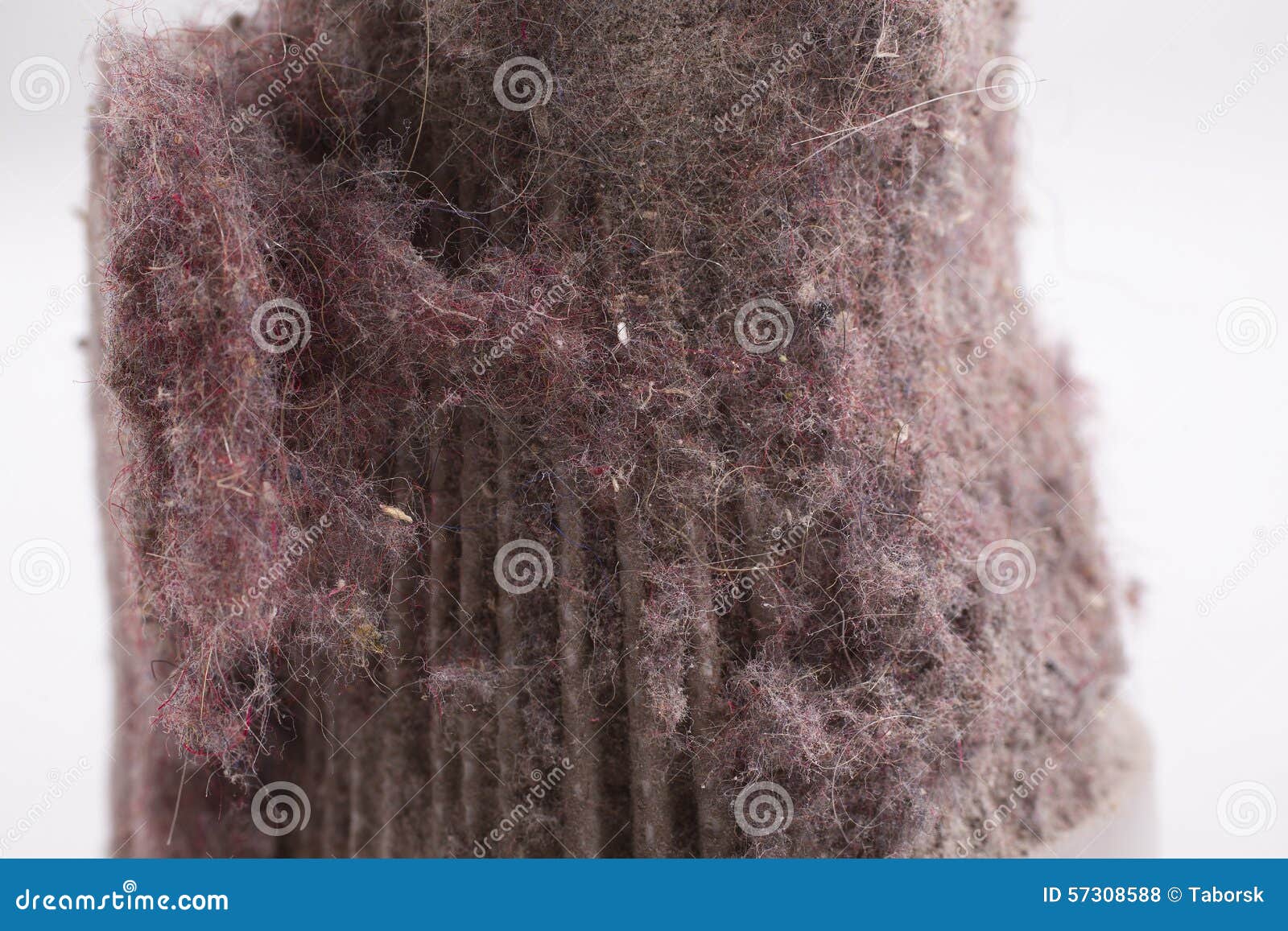 House dust stock photo. Image of cleanup, fiber, harmful - 57308588