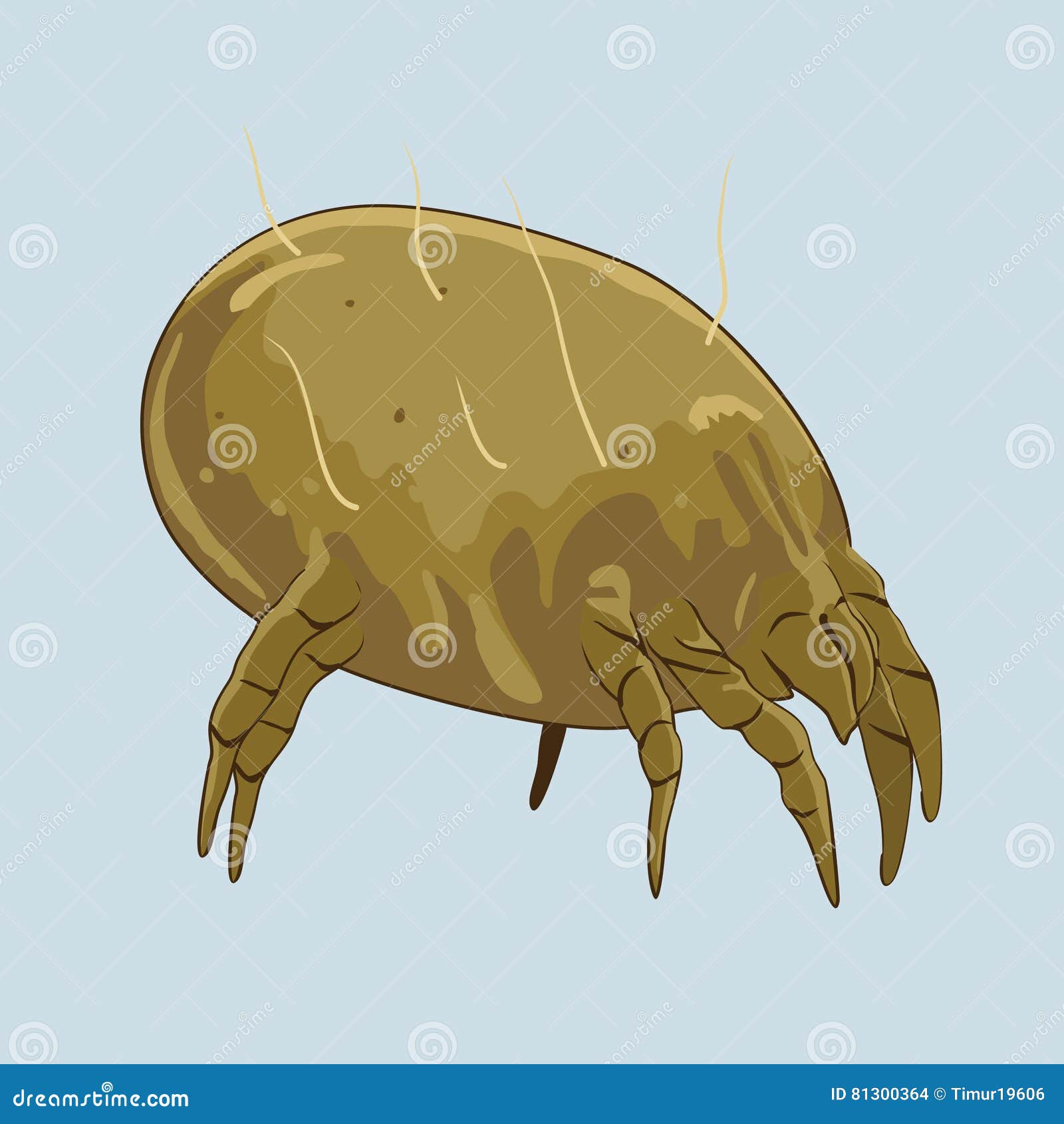 Itch Mite Sarcoptes Scabiei Vector Illustration | CartoonDealer.com ...