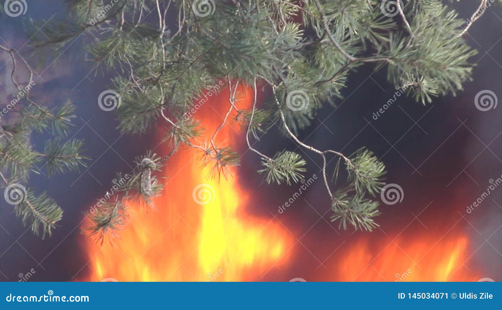 House Engulfed in Flames Showing Fire Smoke. Stock Video - Video of ...