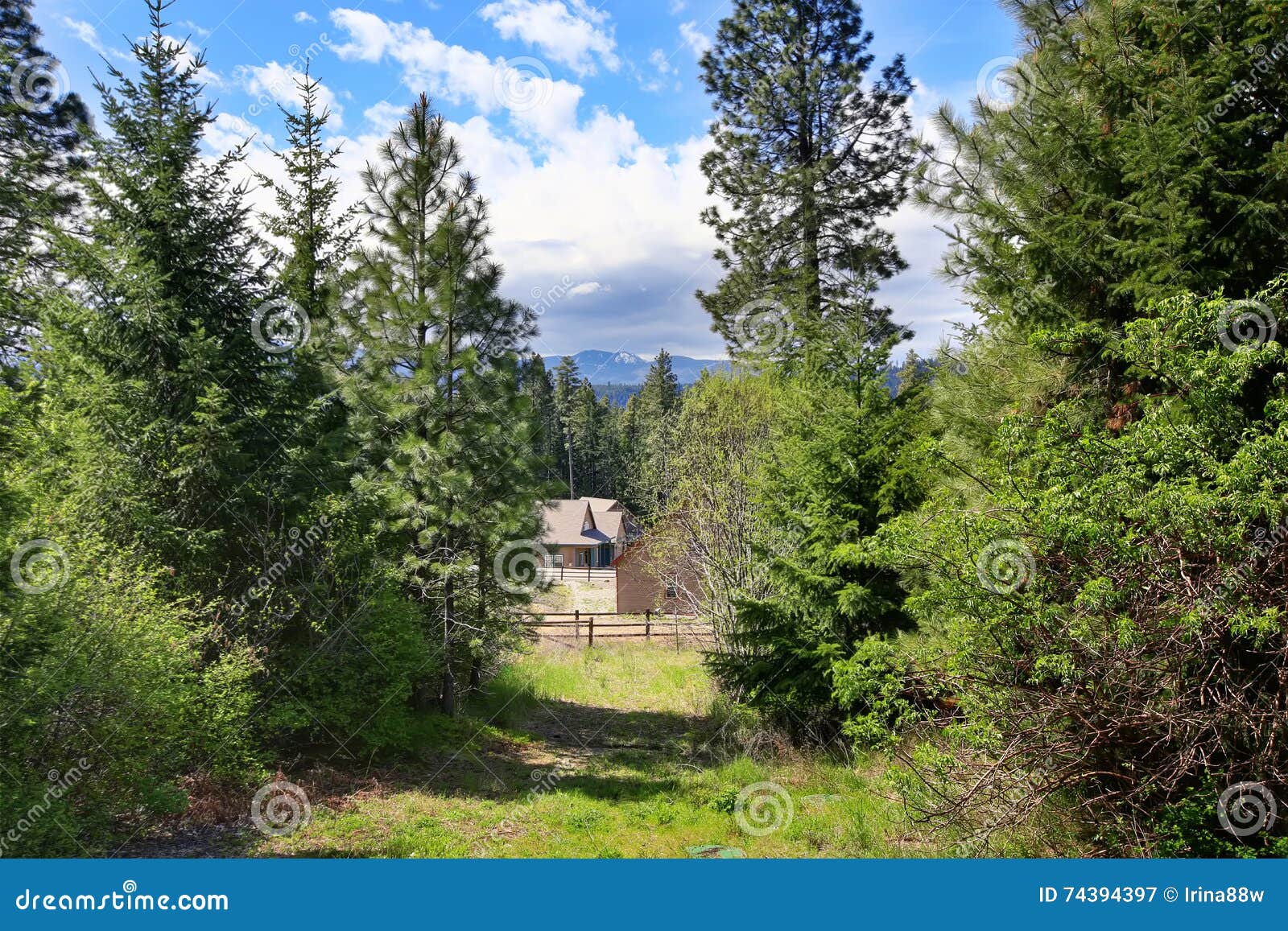 House Exterior Surrounded by Trees Stock Image - Image of view, outside ...