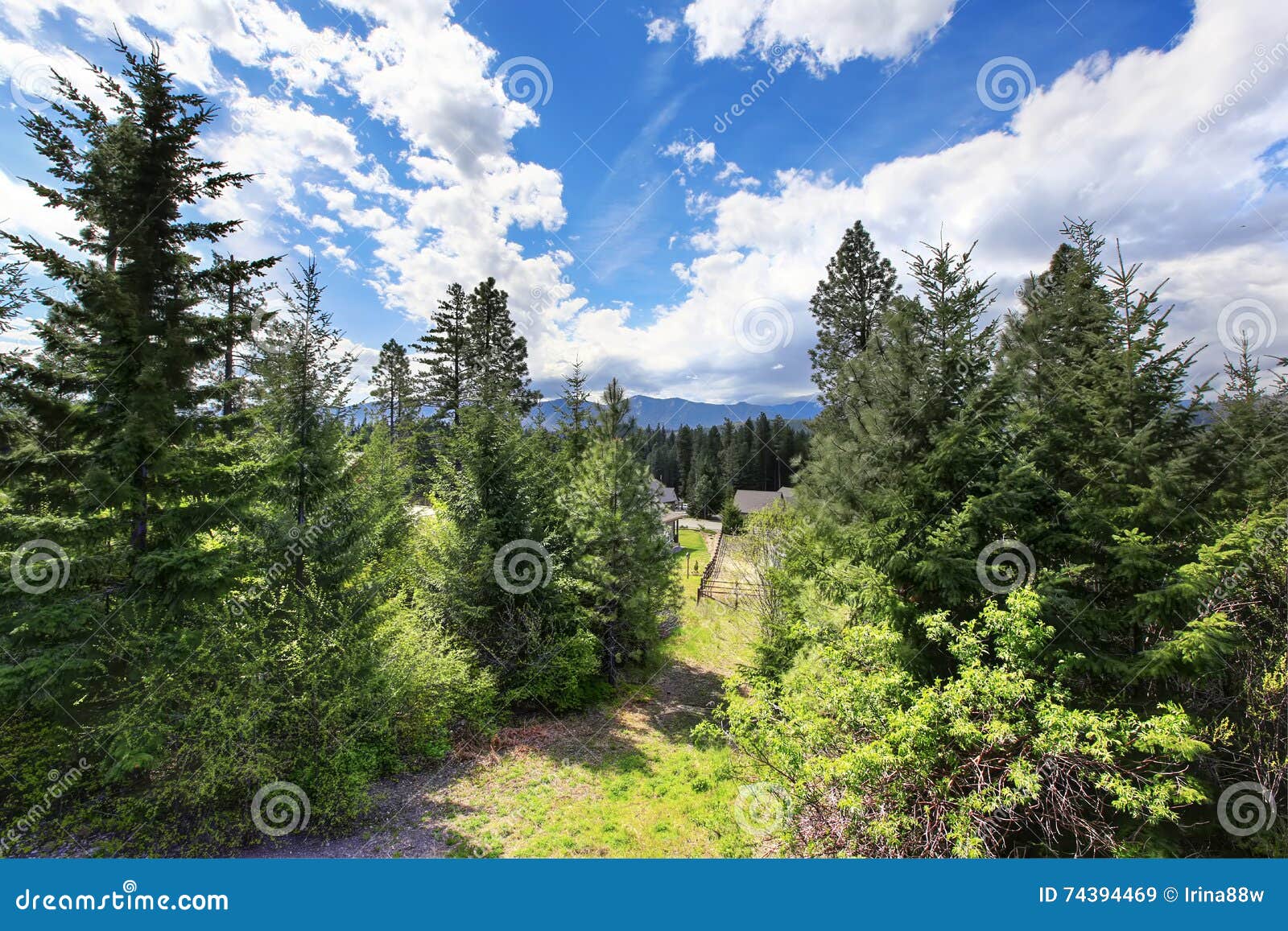House Exterior Surrounded by Trees Stock Image - Image of green ...