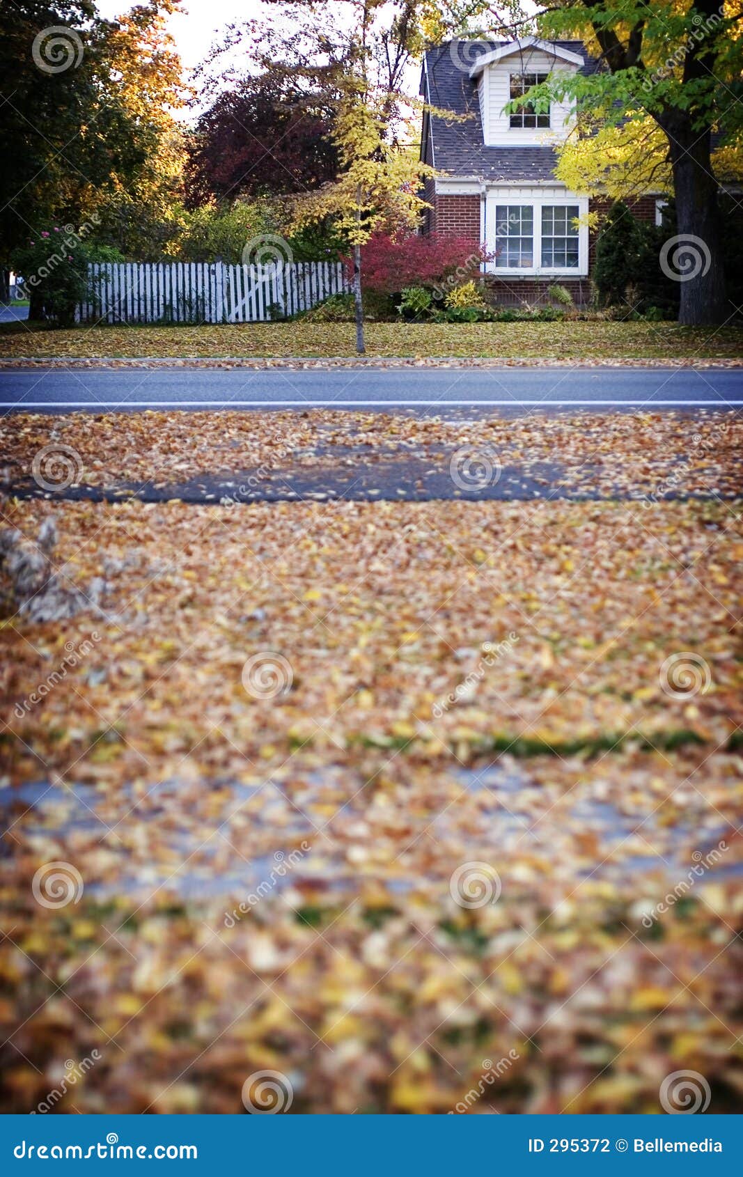 House in fall stock photo. Image of leaves, seasons, everyday - 295372