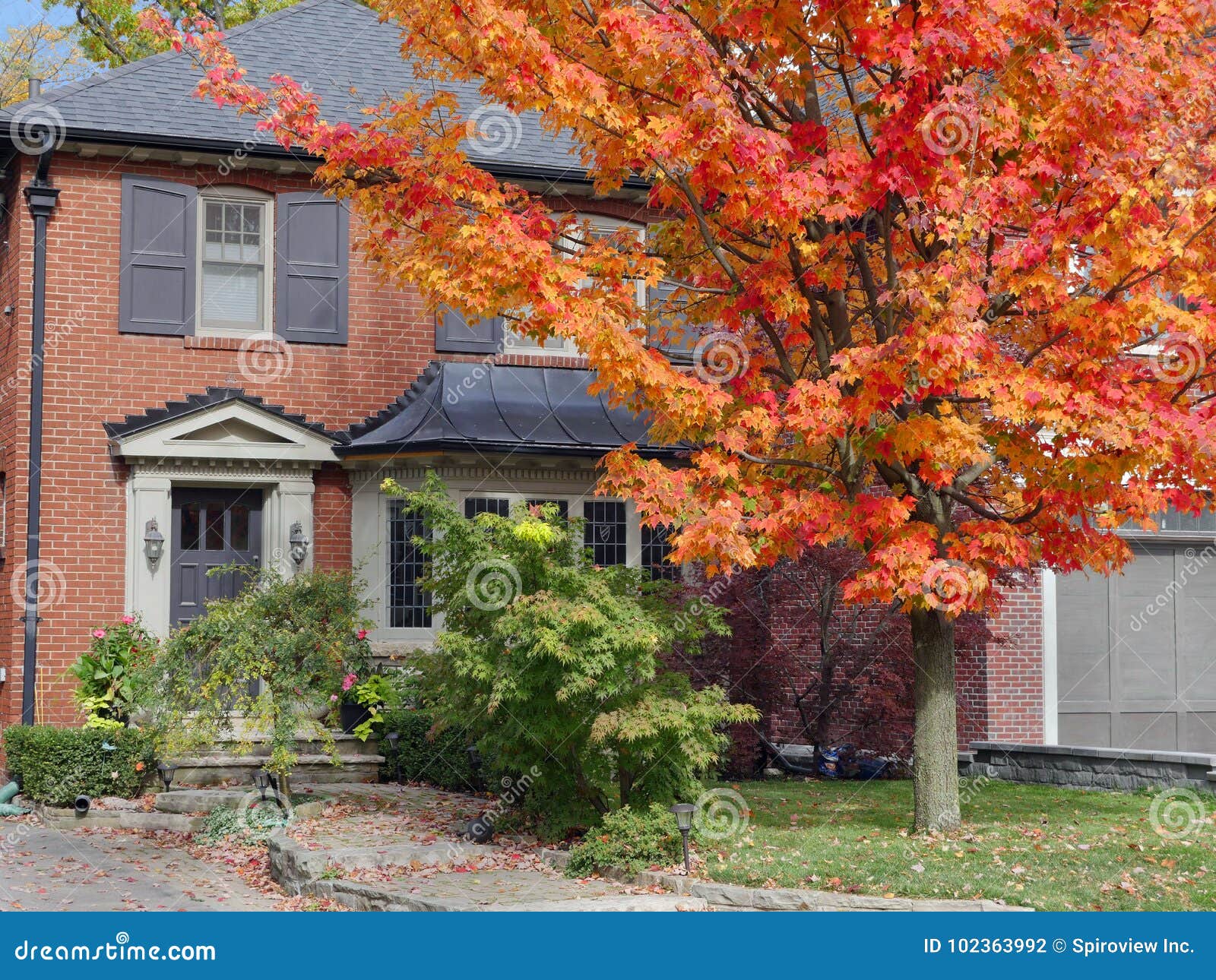 House in fall stock photo. Image of tree, autumn, colors - 102363992