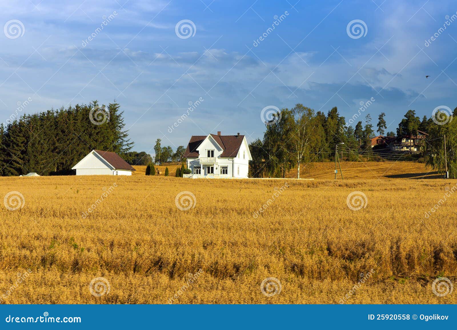 House farmer in Norway. stock photo. Image of grains - 25920558