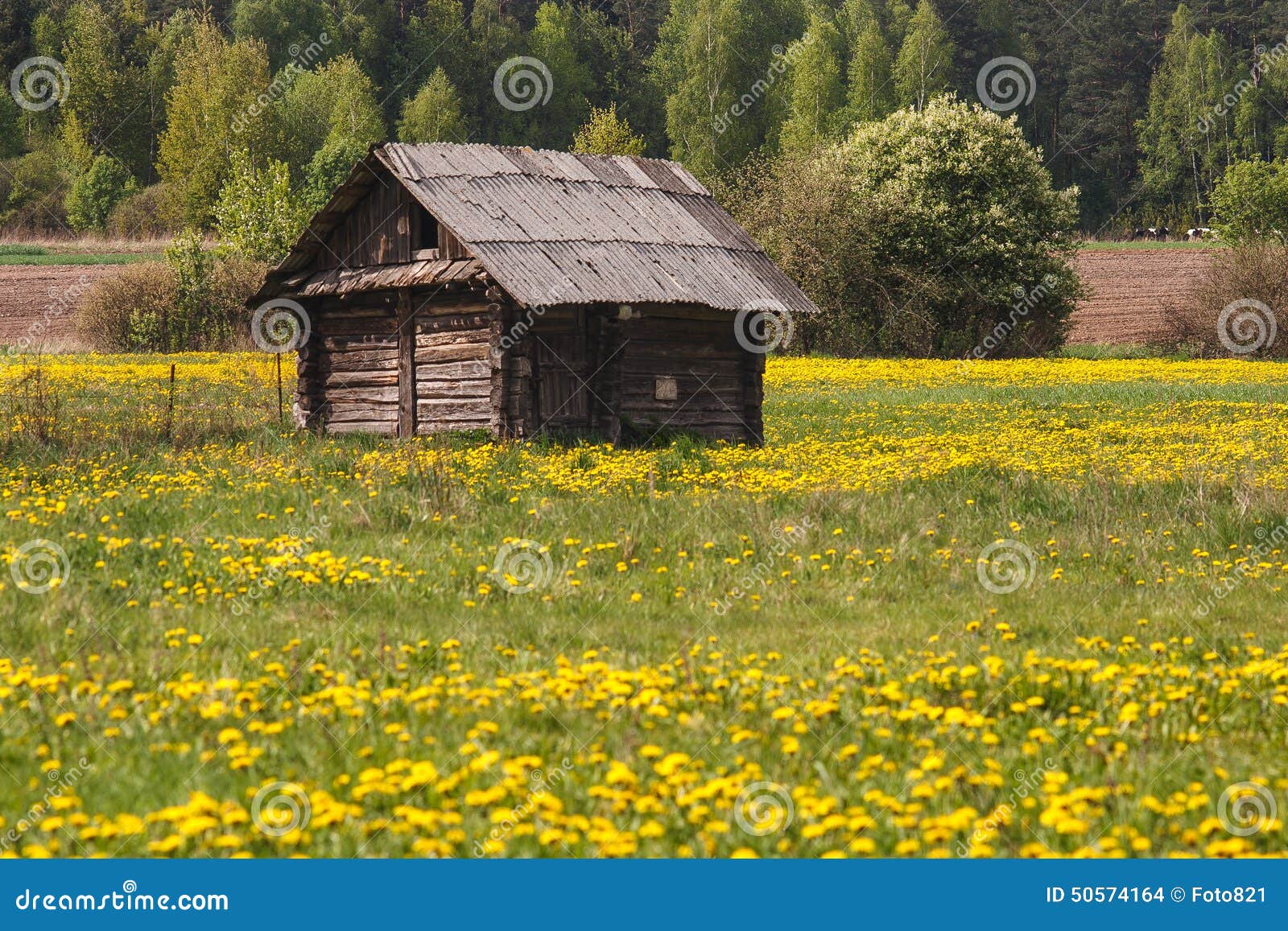House in Field stock photo. Image of country, horizontal - 50574164