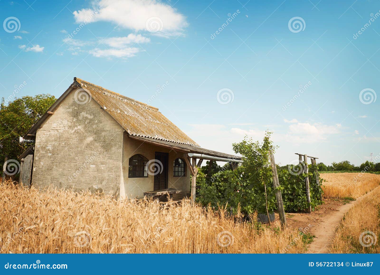 House on field stock photo. Image of farmland, family - 56722134