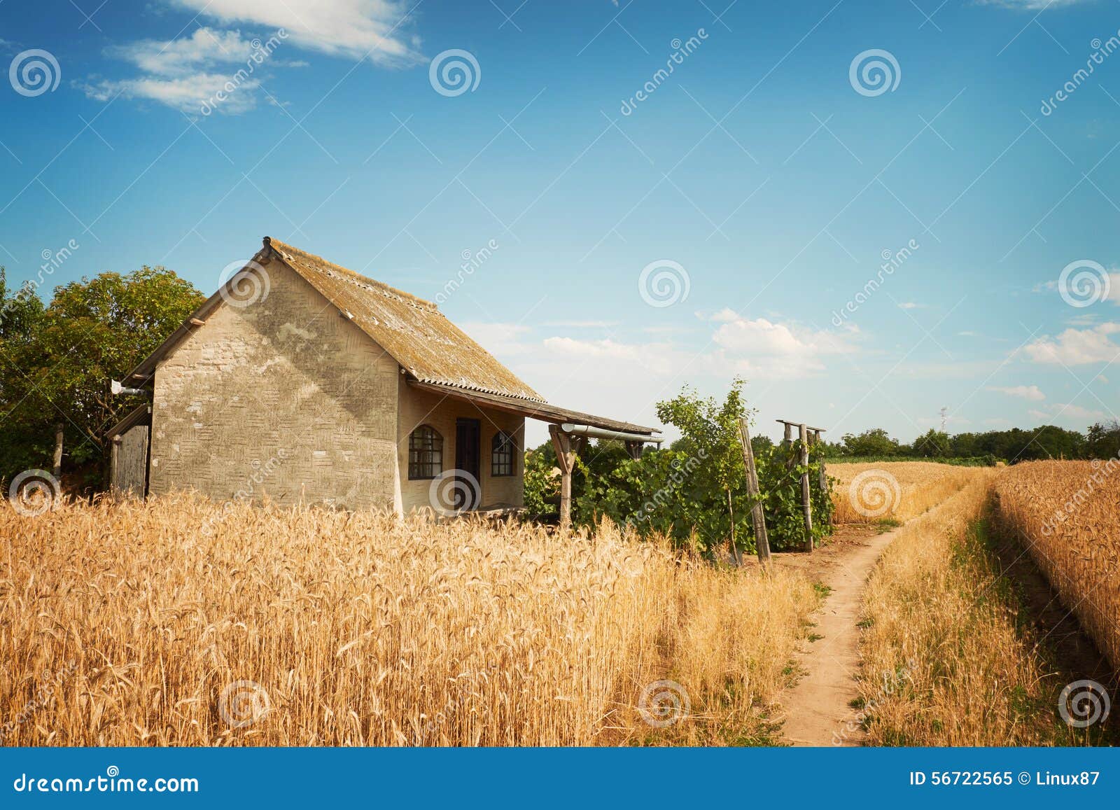 House on field stock image. Image of farmland, cottage - 56722565